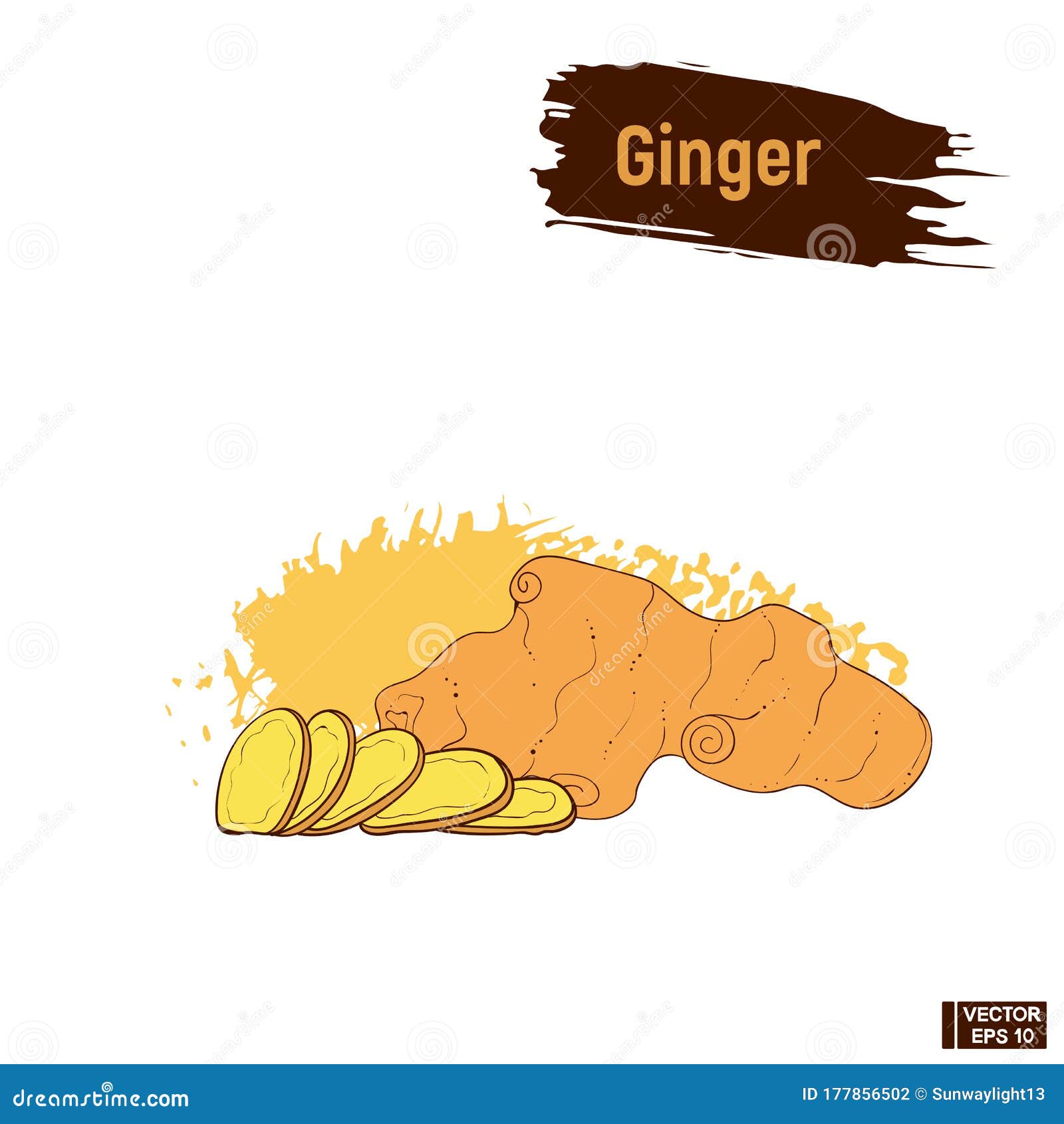 Colored sketch of ginger stock illustration. Illustration of orang ...