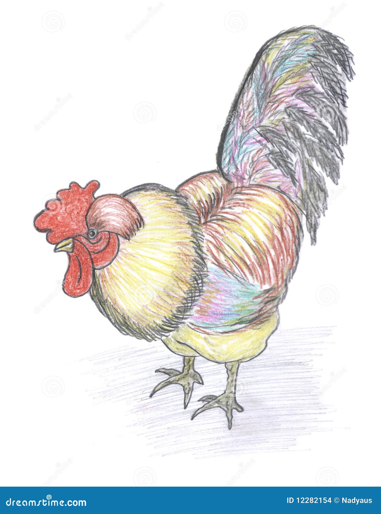 Colored Sketch Of Rooster Royalty-Free Stock Image | CartoonDealer.com ... Colored Sketch Of Rooster Royalty-Free Stock Image | CartoonDealer.com ...