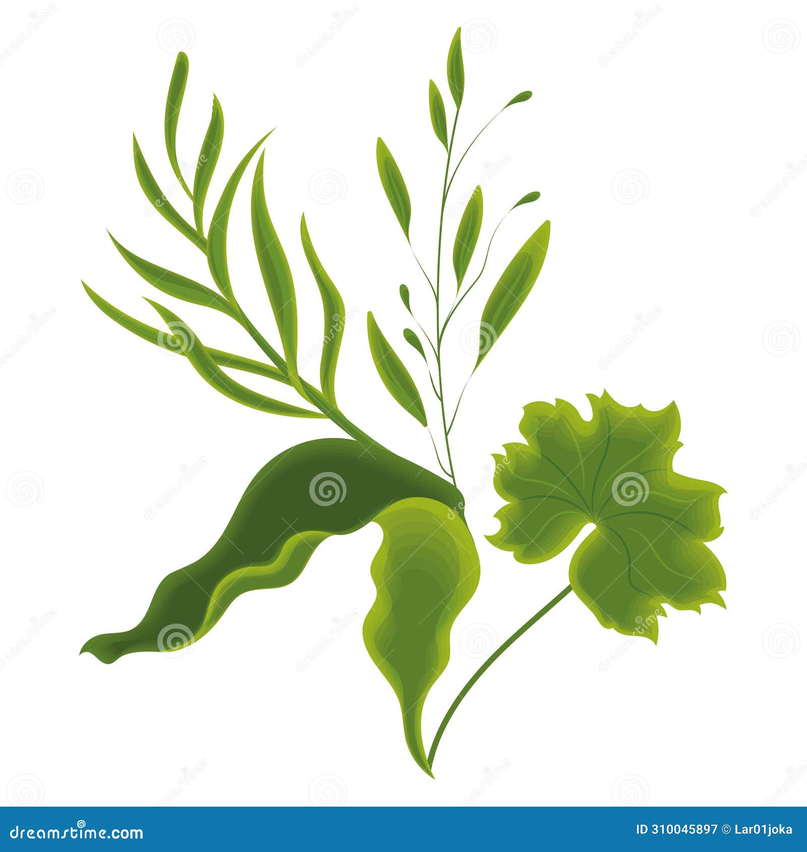 Colored Sketch of a Tree Leaves Vector Stock Vector - Illustration of ...