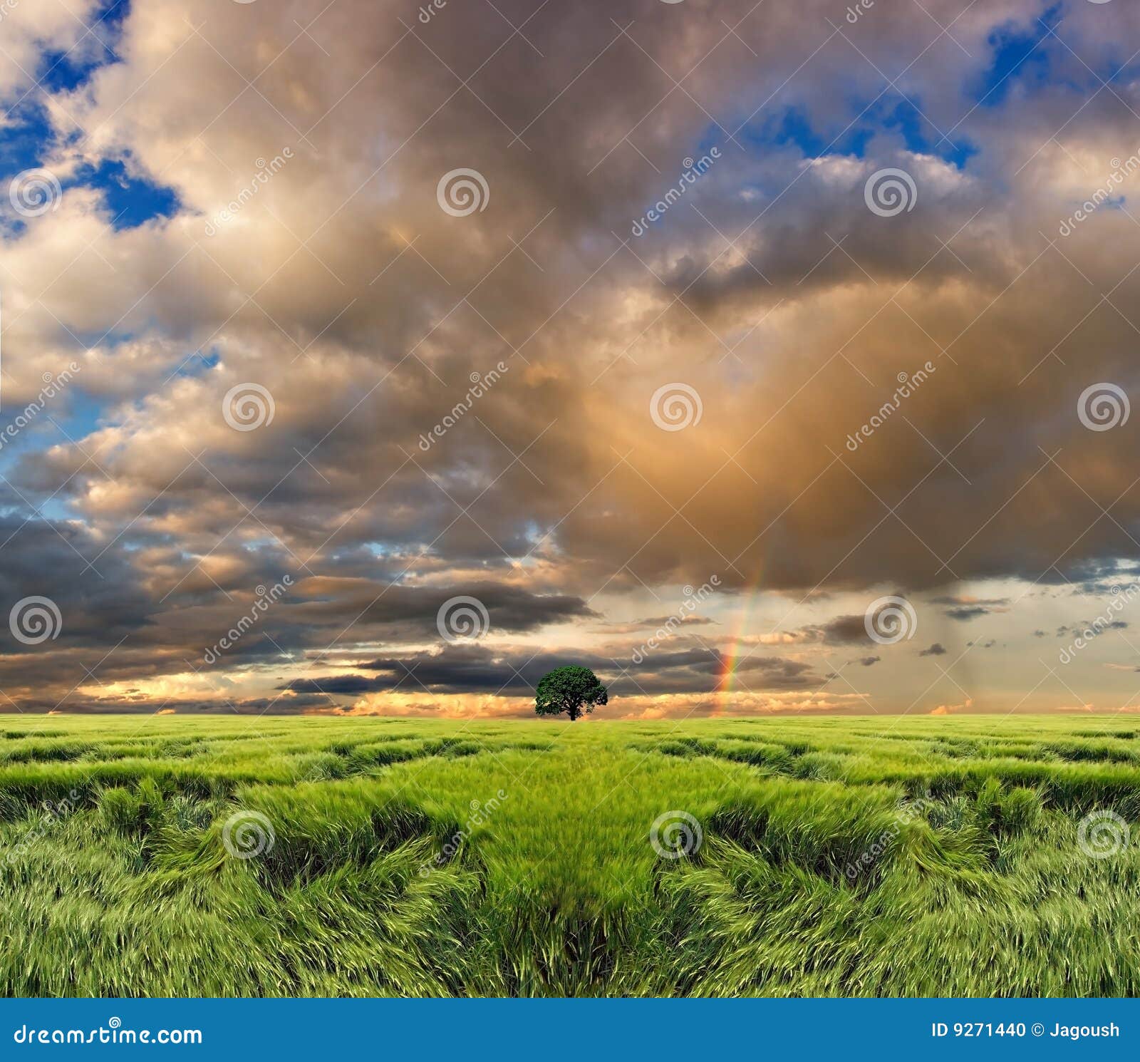 Colored sky over the field stock photo. Image of colorful - 9271440