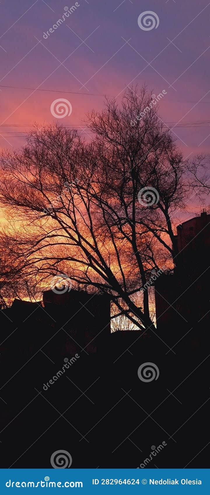 Colored Sky at Sunset in the Middle of the City with Buildings and ...