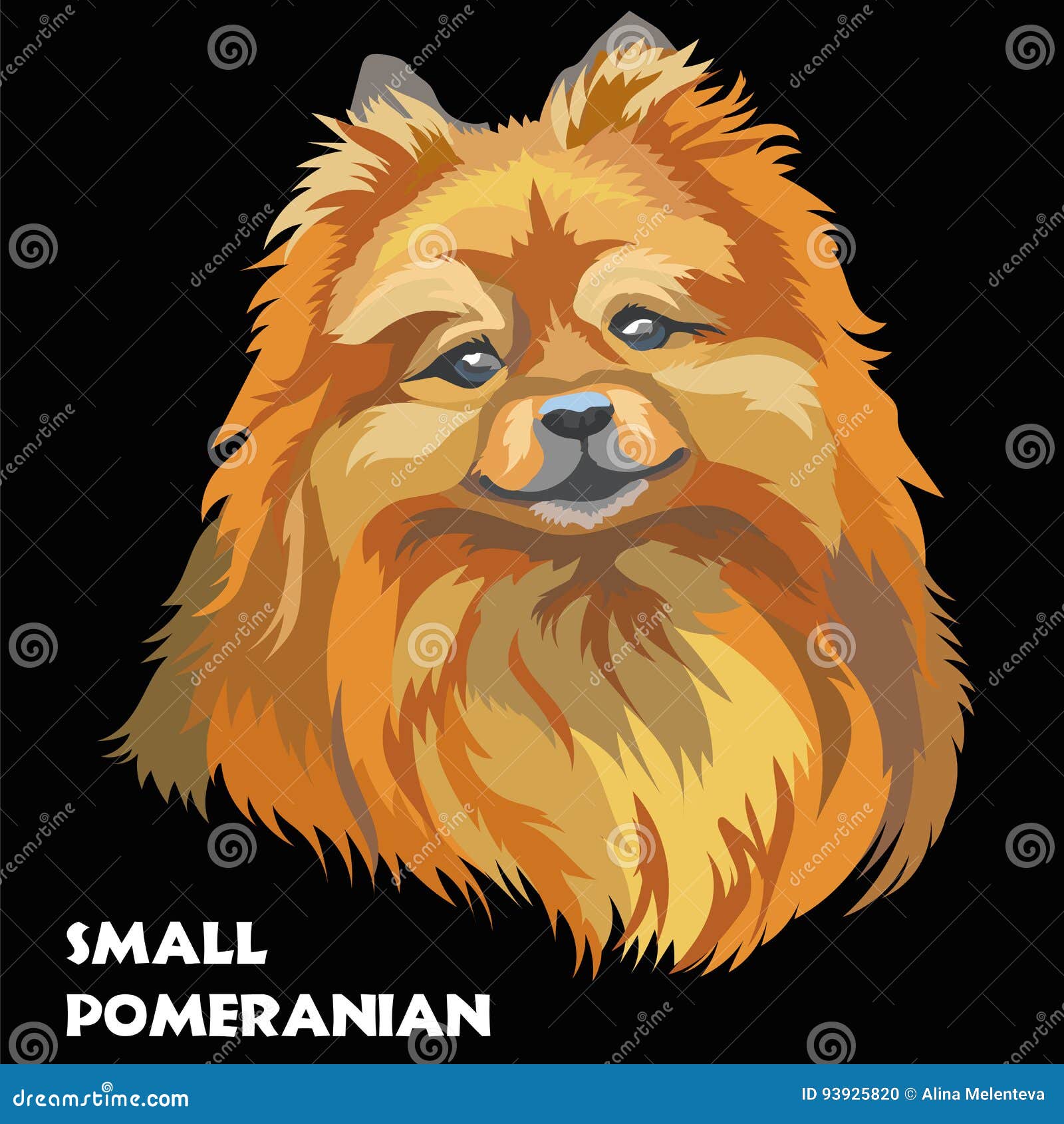 Pomeranian Dog Vector Illustration | CartoonDealer.com #77860369