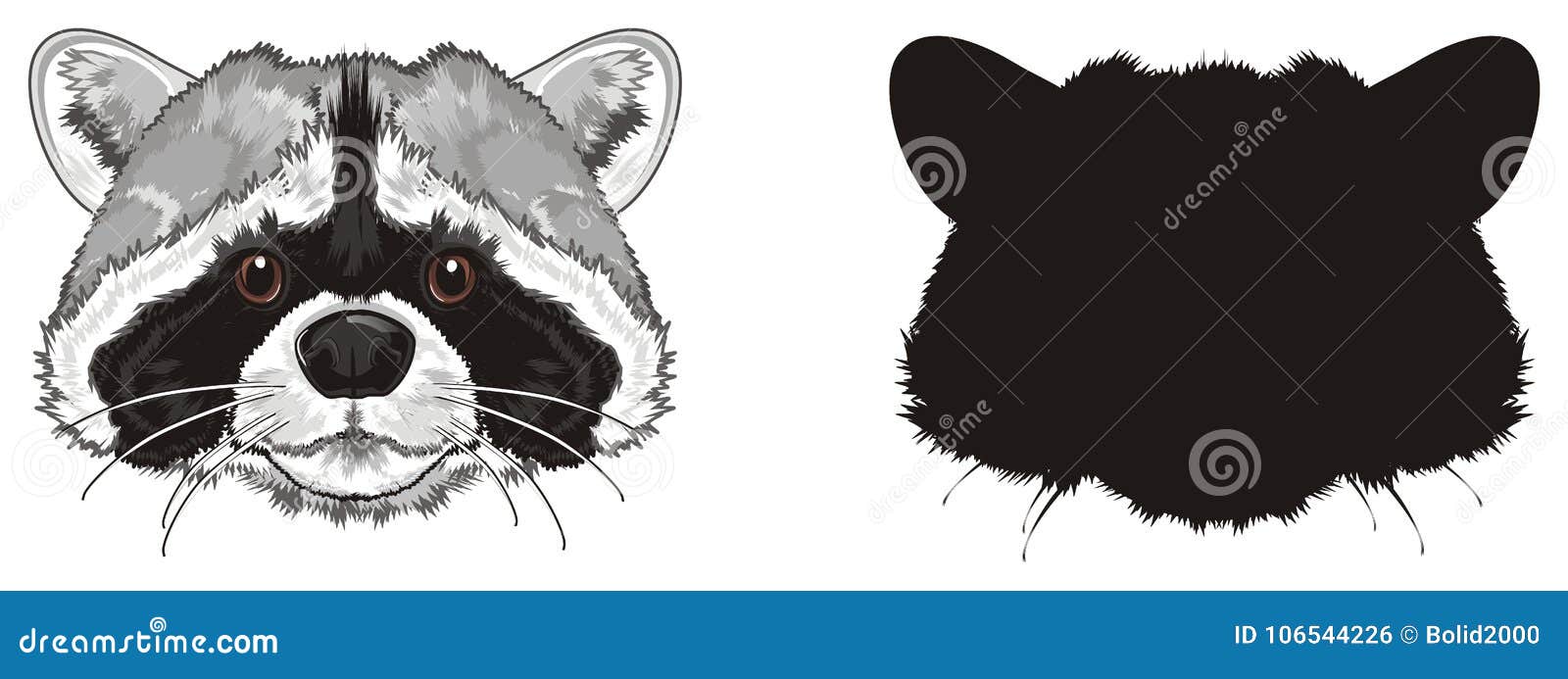 Gray Raccoons Stock Illustrations – 164 Gray Raccoons Stock ...