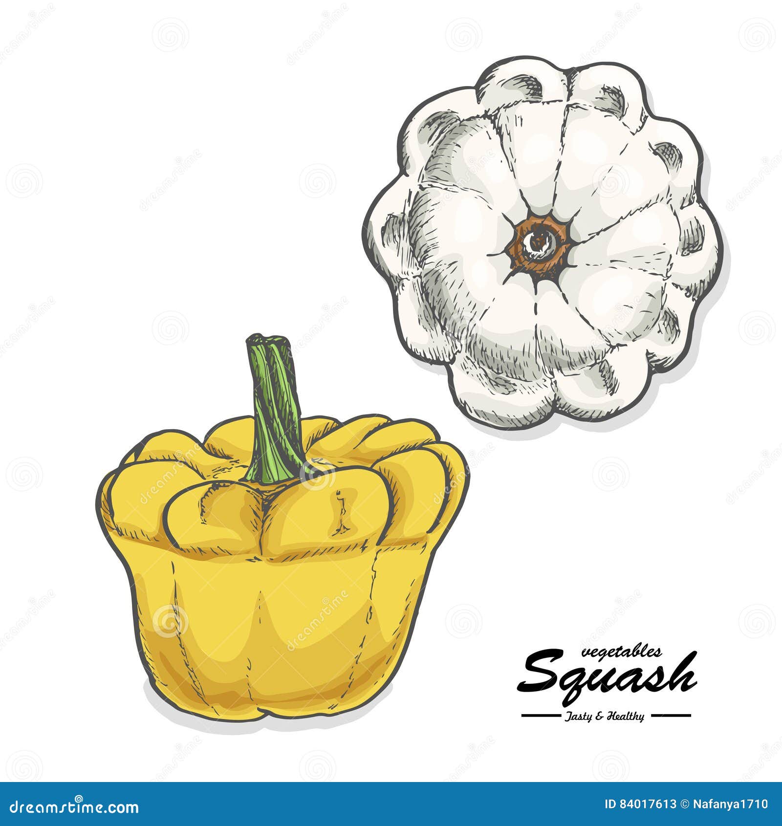 Colored Squash in Sketch Style Stock Vector - Illustration of squash ...