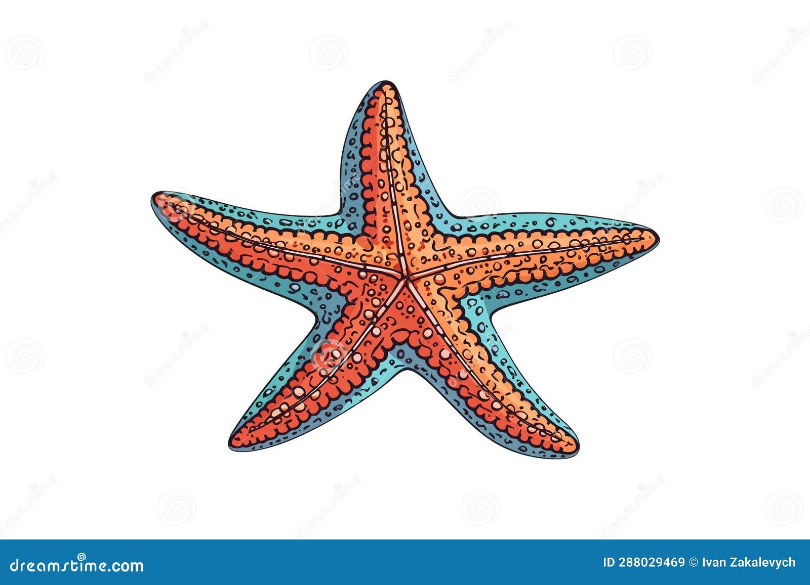 Colored Starfish Hand Drawn Sketch. Vector Illustration Design Stock ...
