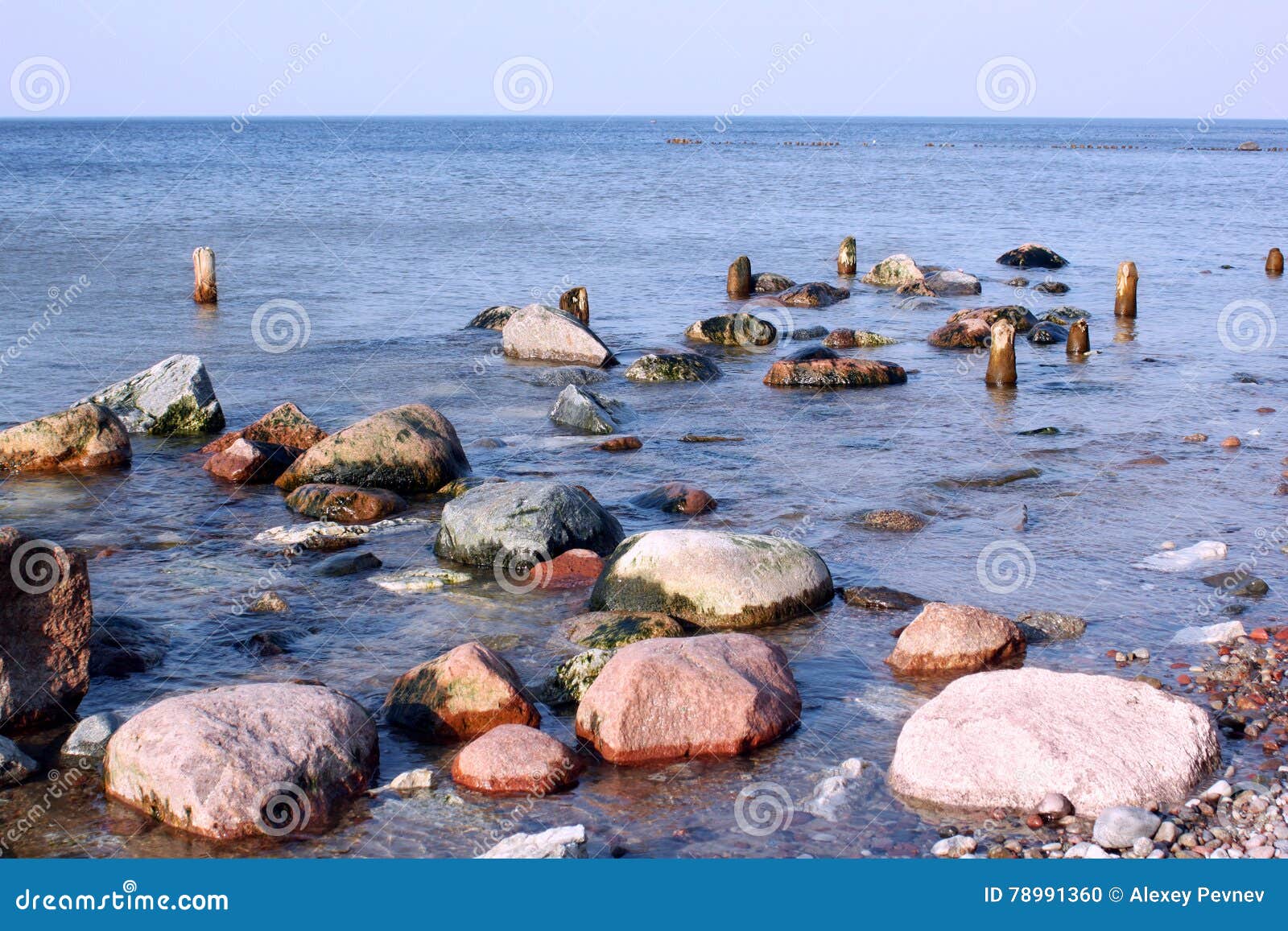 Colored Stones on the Coast of the Baltic Sea. Stock Photo - Image of ...