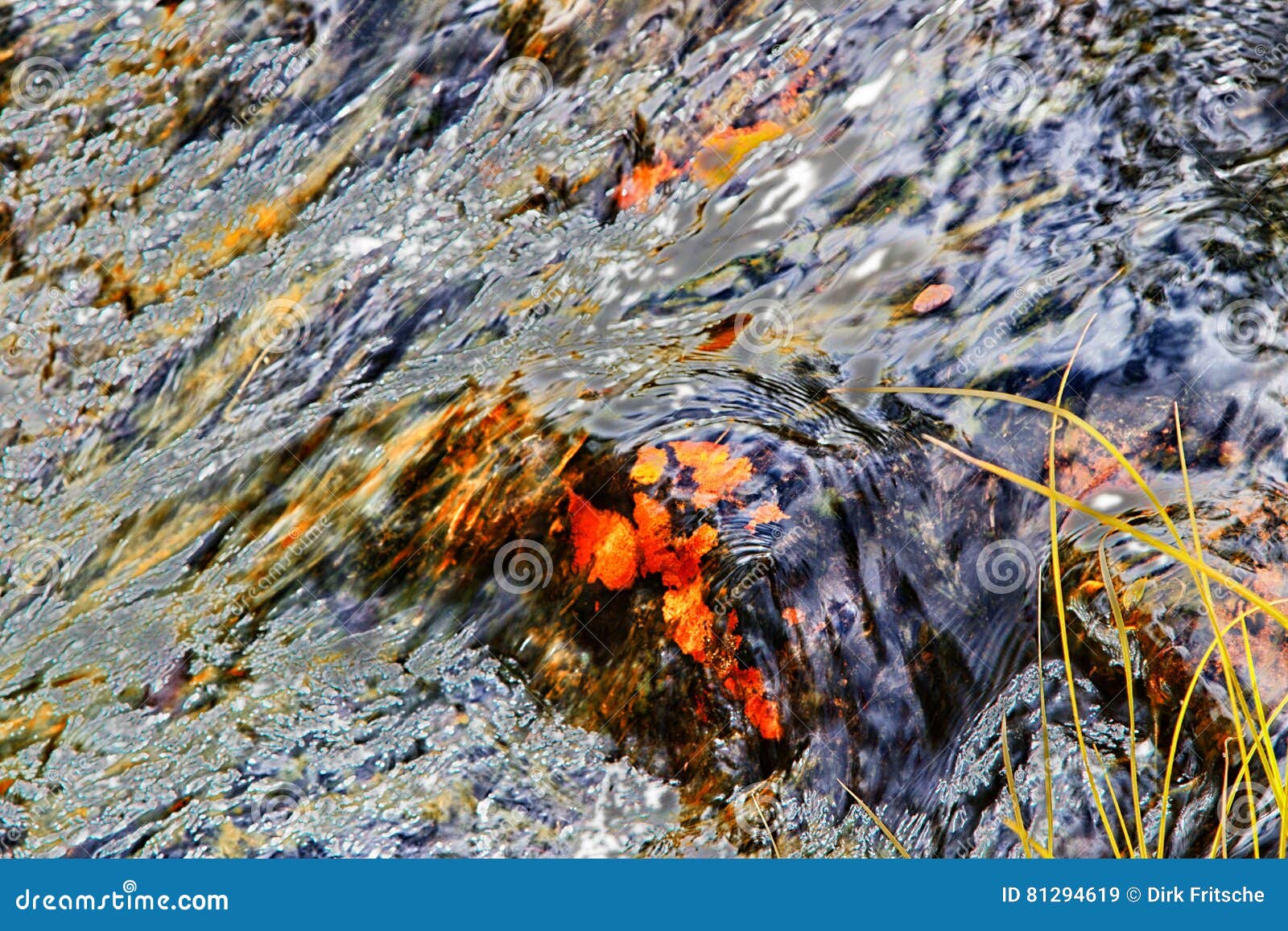 Colored stones stock image. Image of stream, nature, rock - 81294619