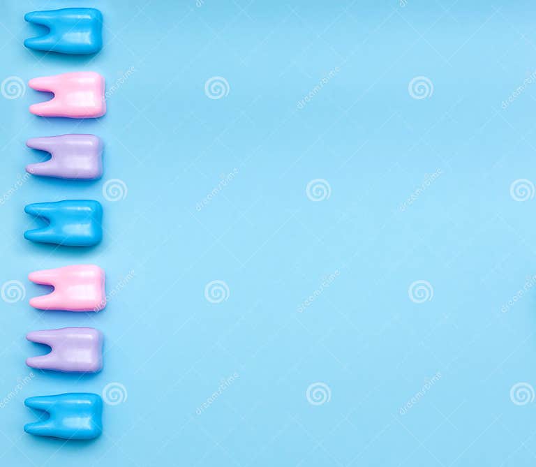 Colored Tooth Models on a Blue Background. Flat Lay, Top View Stock ...