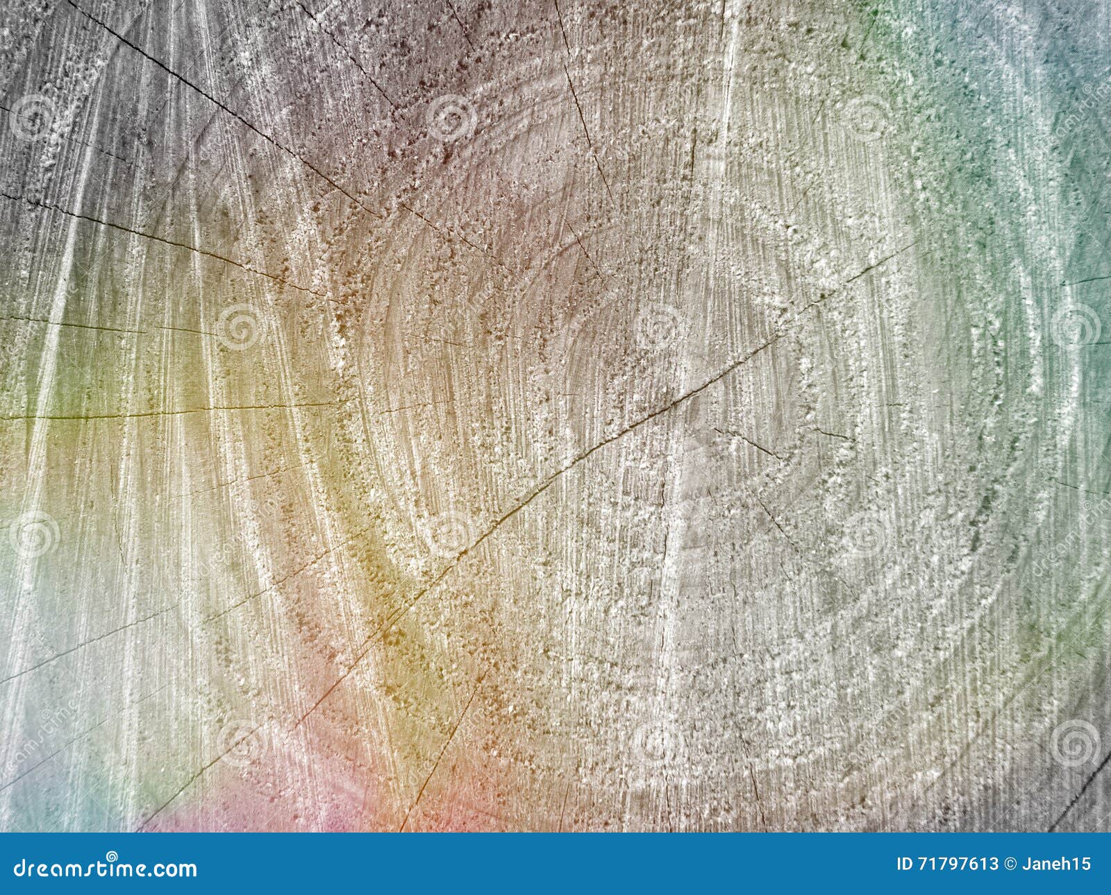 Colored tree stump stock image. Image of design, color - 71797613