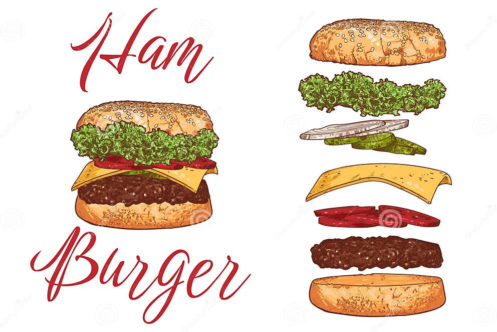 Colored Hand Drawn Vector Ham Burger Stock Illustration - Illustration ...