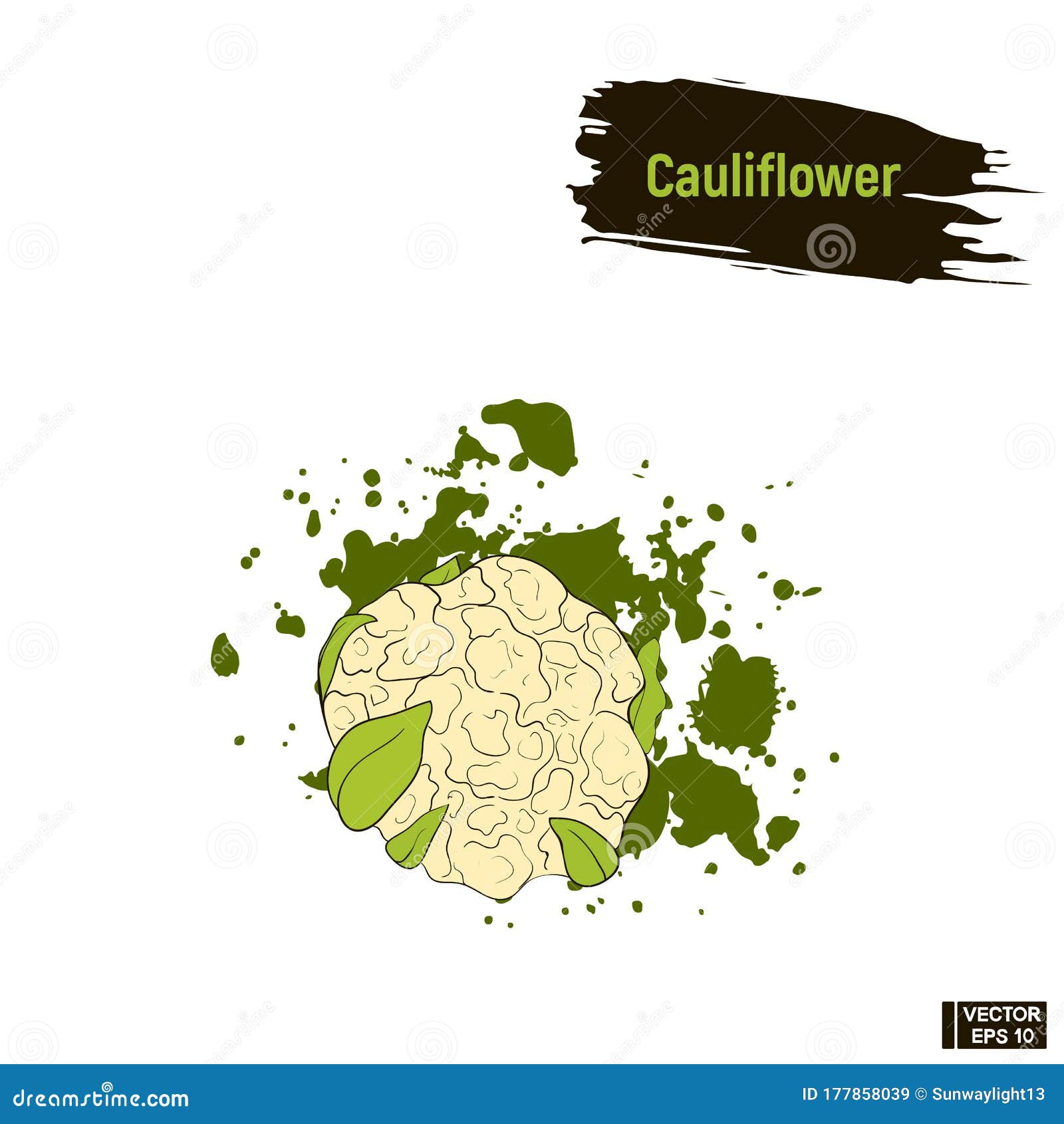 Colored Vegetable, Cauliflower Sketch Stock Illustration - Illustration ...
