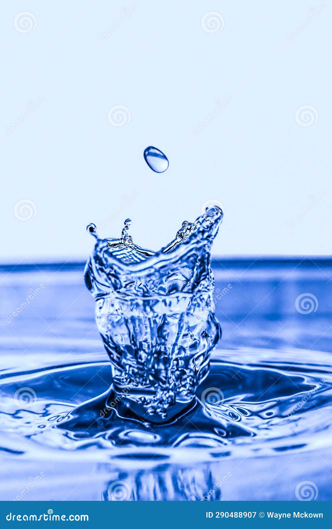 Colored water drop stock image. Image of reflection - 290488907