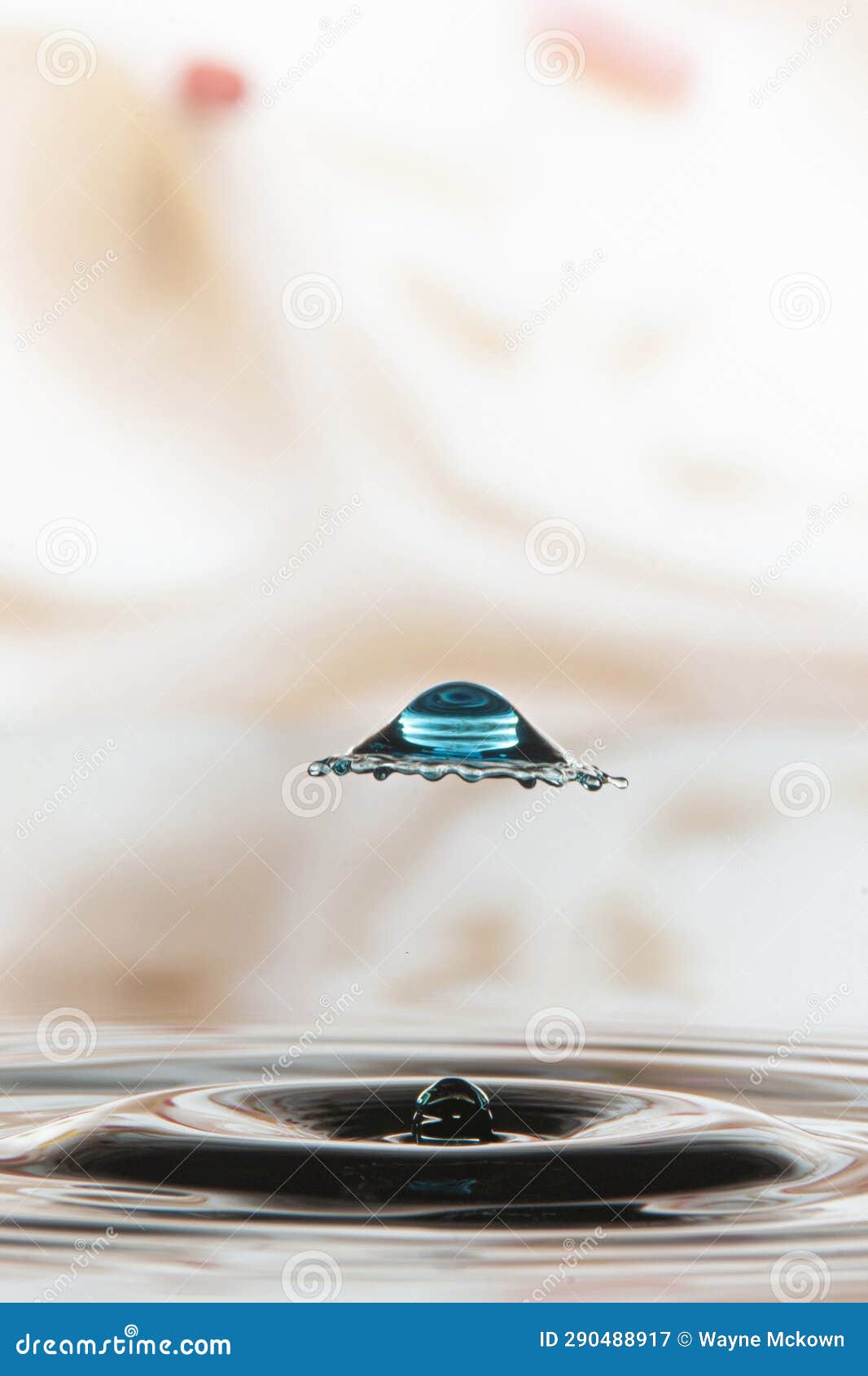 Colored water drop stock image. Image of aqua, surface - 290488917