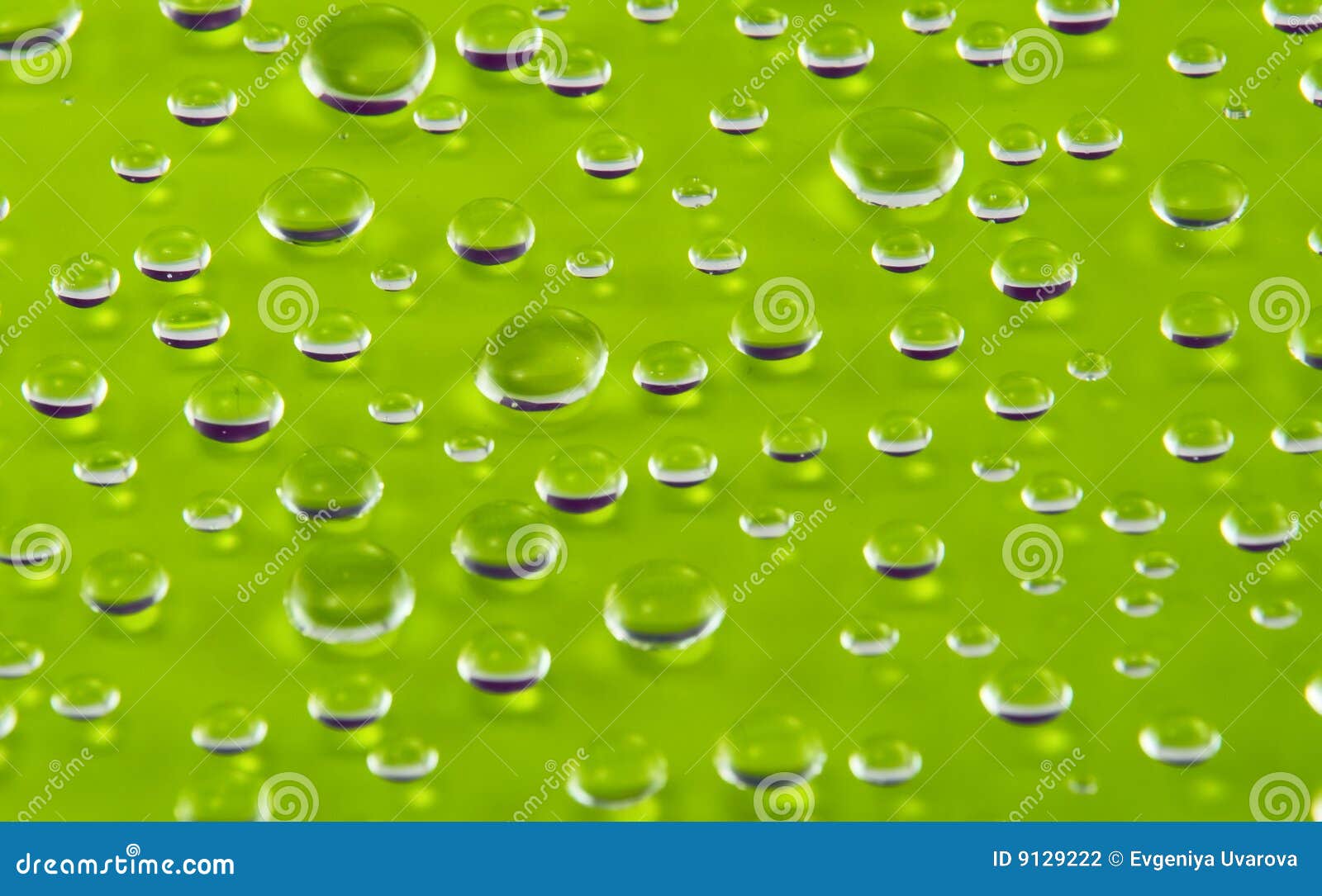 Colored Water Droplets on the Surface Stock Photo - Image of abstract ...