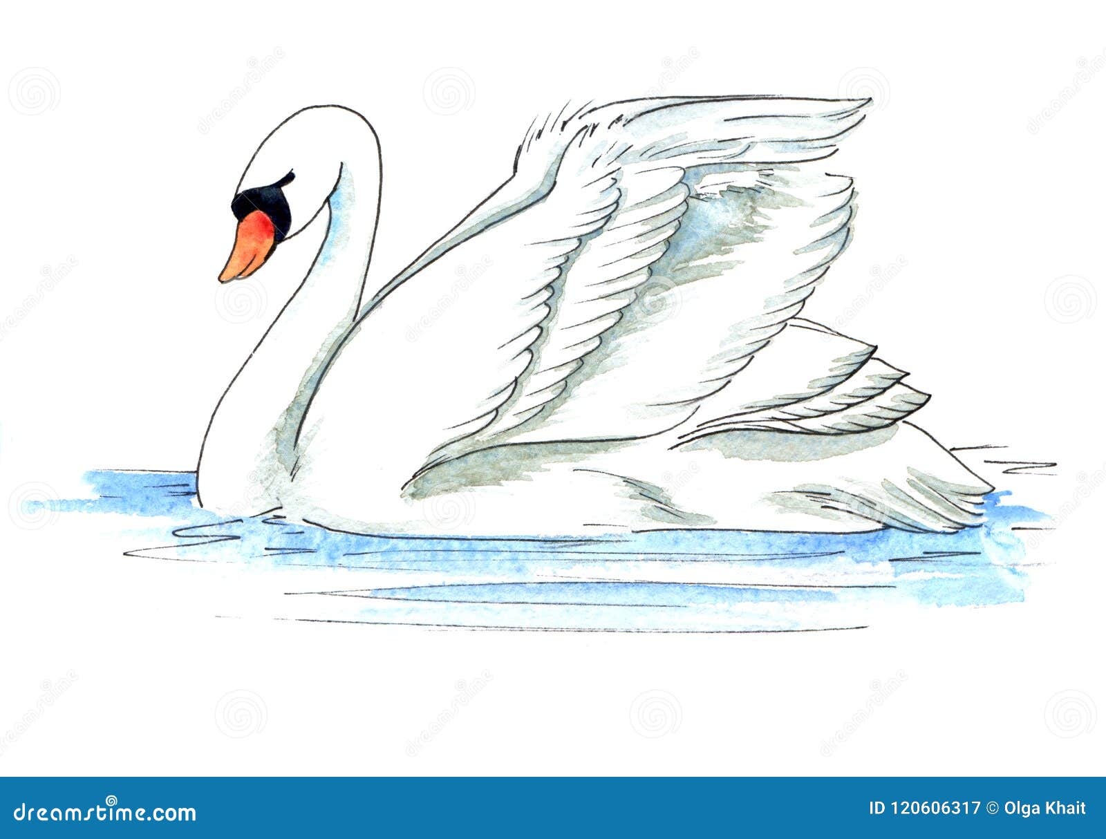 Colored Watercolor Painted Strong Swan on Water. Stock Illustration ...