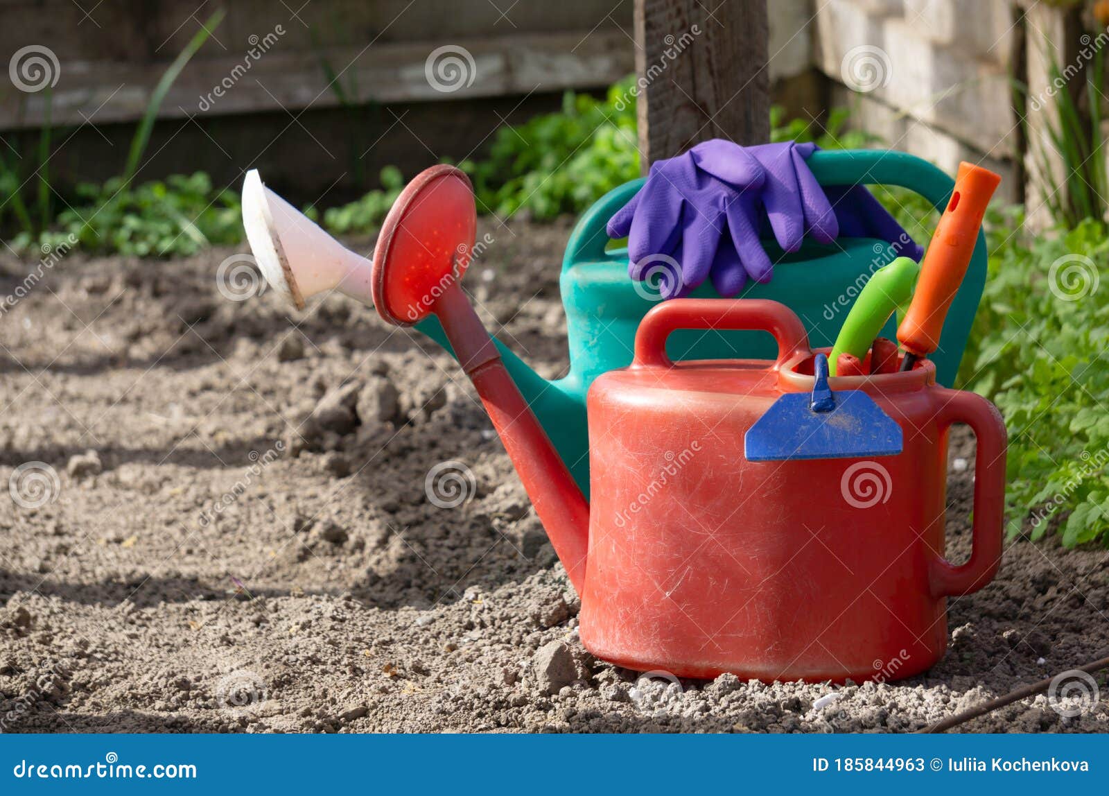 Colored Watering Cans and Garden Tools Stock Image - Image of garden ...