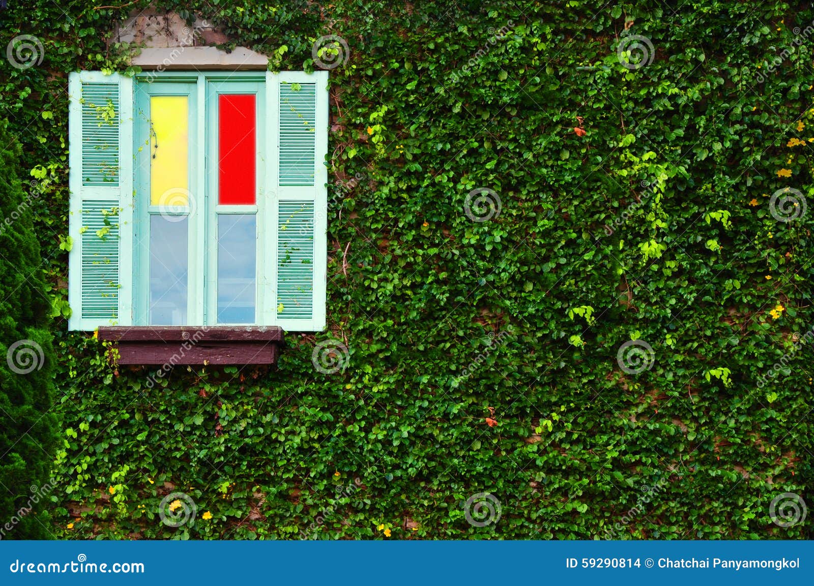 Colored Window Covered by Green Leaves Stock Photo - Image of garden ...