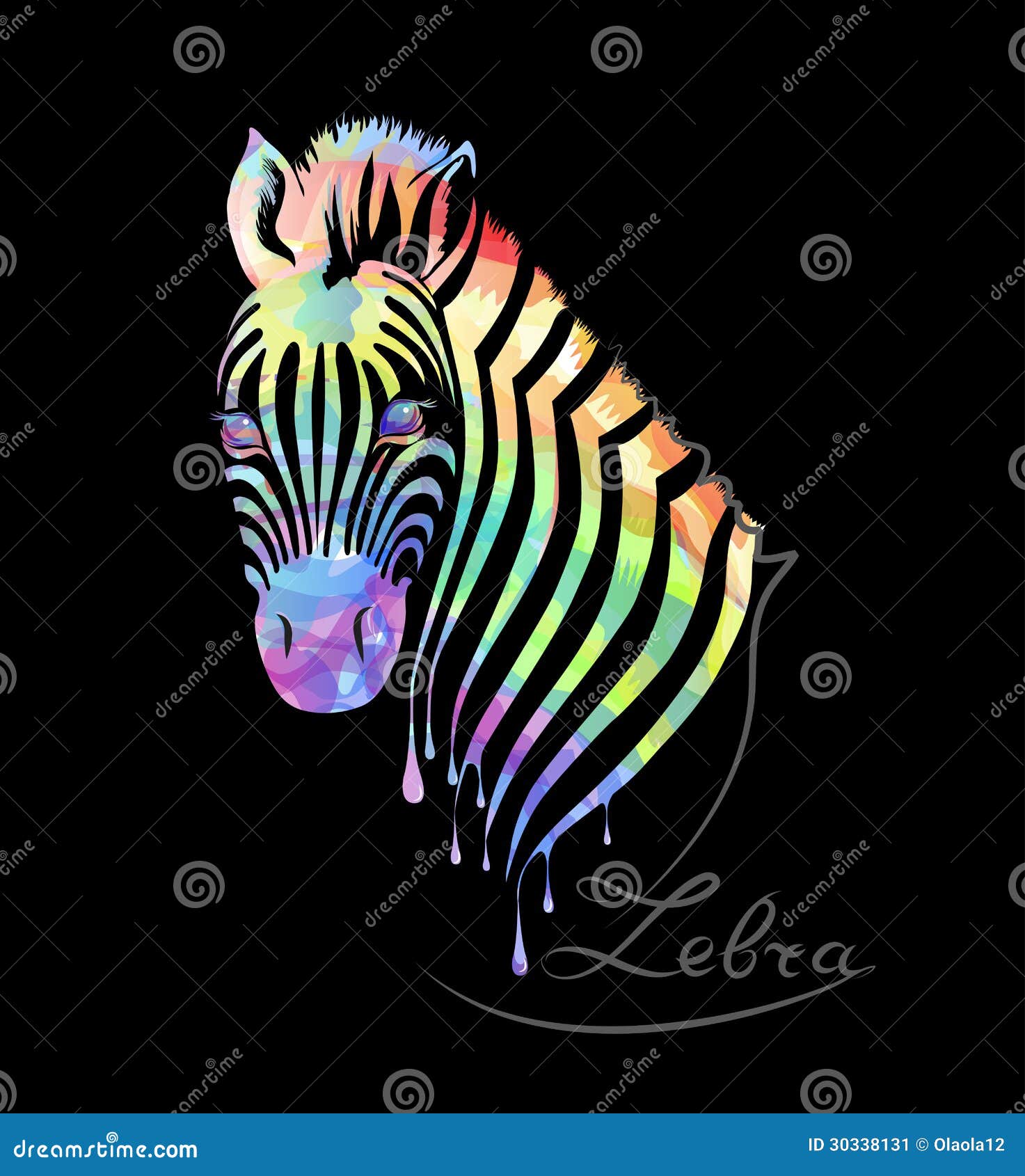 Colored zebra on black stock vector. Illustration of animal - 30338131