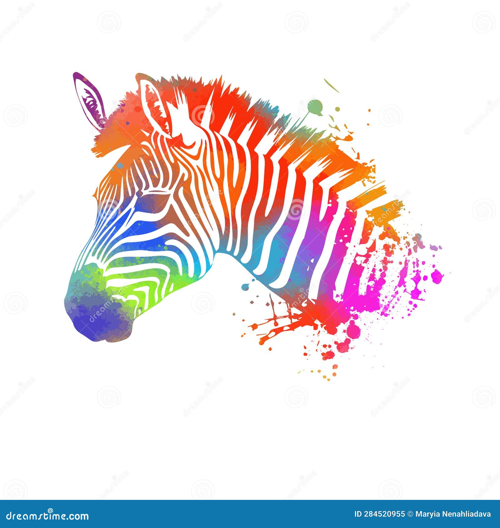 Colored Zebra Object . T-shirt Print. Vector Illustration. Stock ...