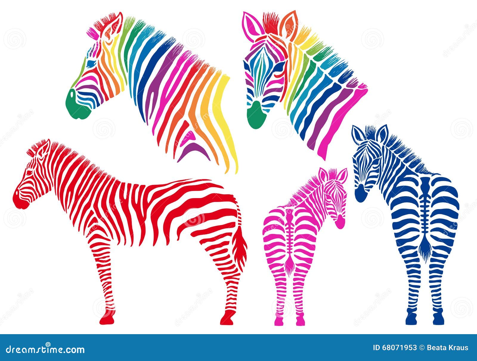 Colored zebras, vector set stock vector. Illustration of lilac - 68071953