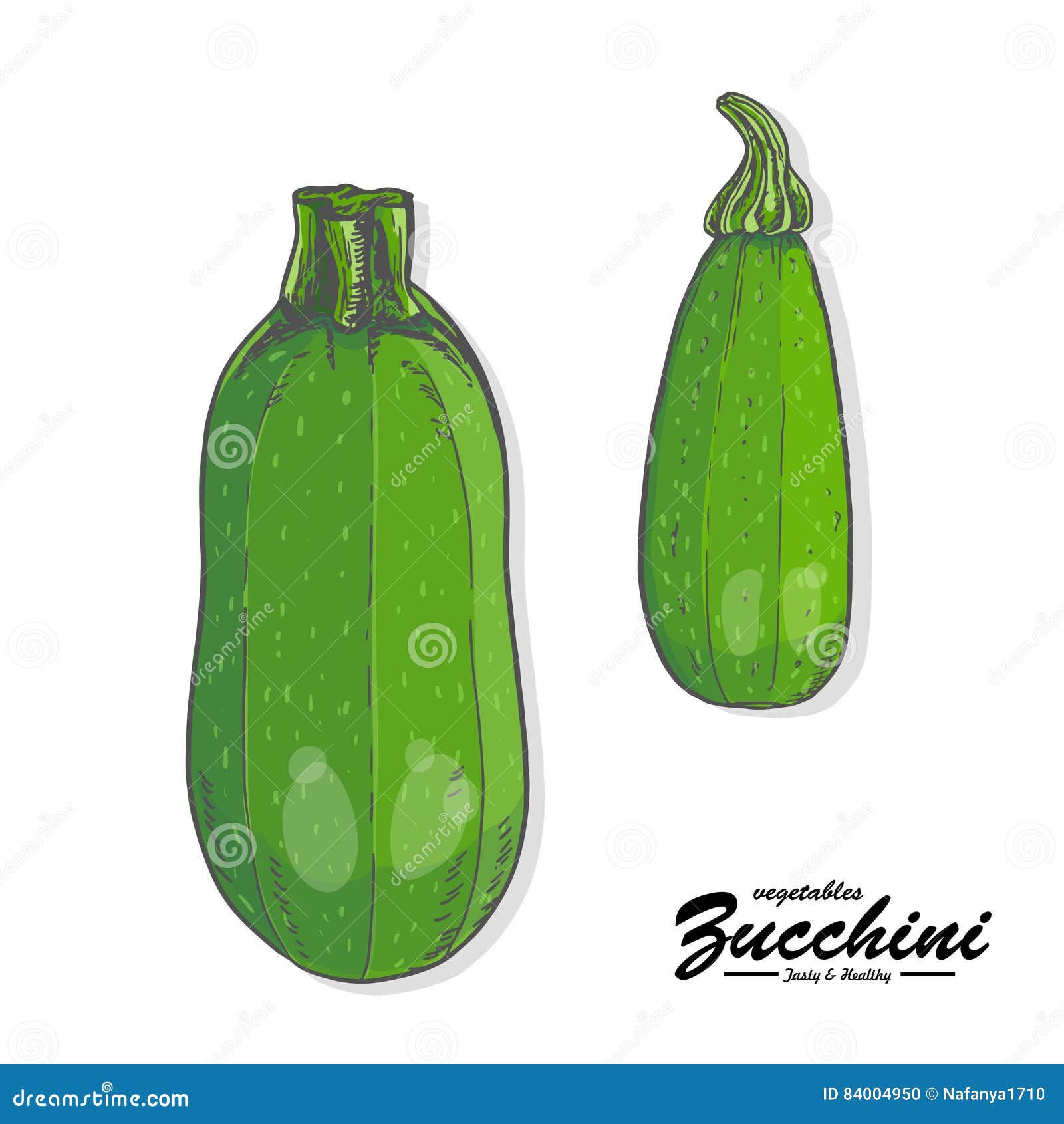 Colored Zucchini in Sketch Style Stock Vector - Illustration of fall ...