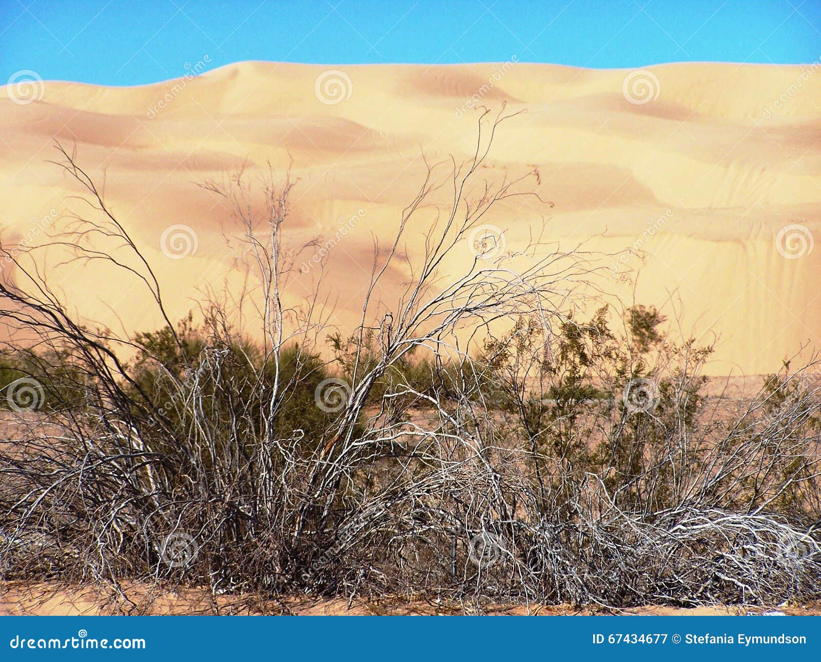 Colores del desierto imagen de archivo. Imagen de meridional - 67434677