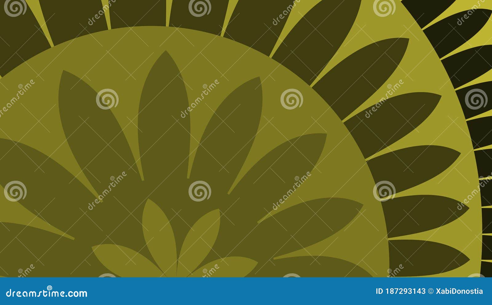 Colorful Abstract Background with Flowers and Circular Petals Stock ...