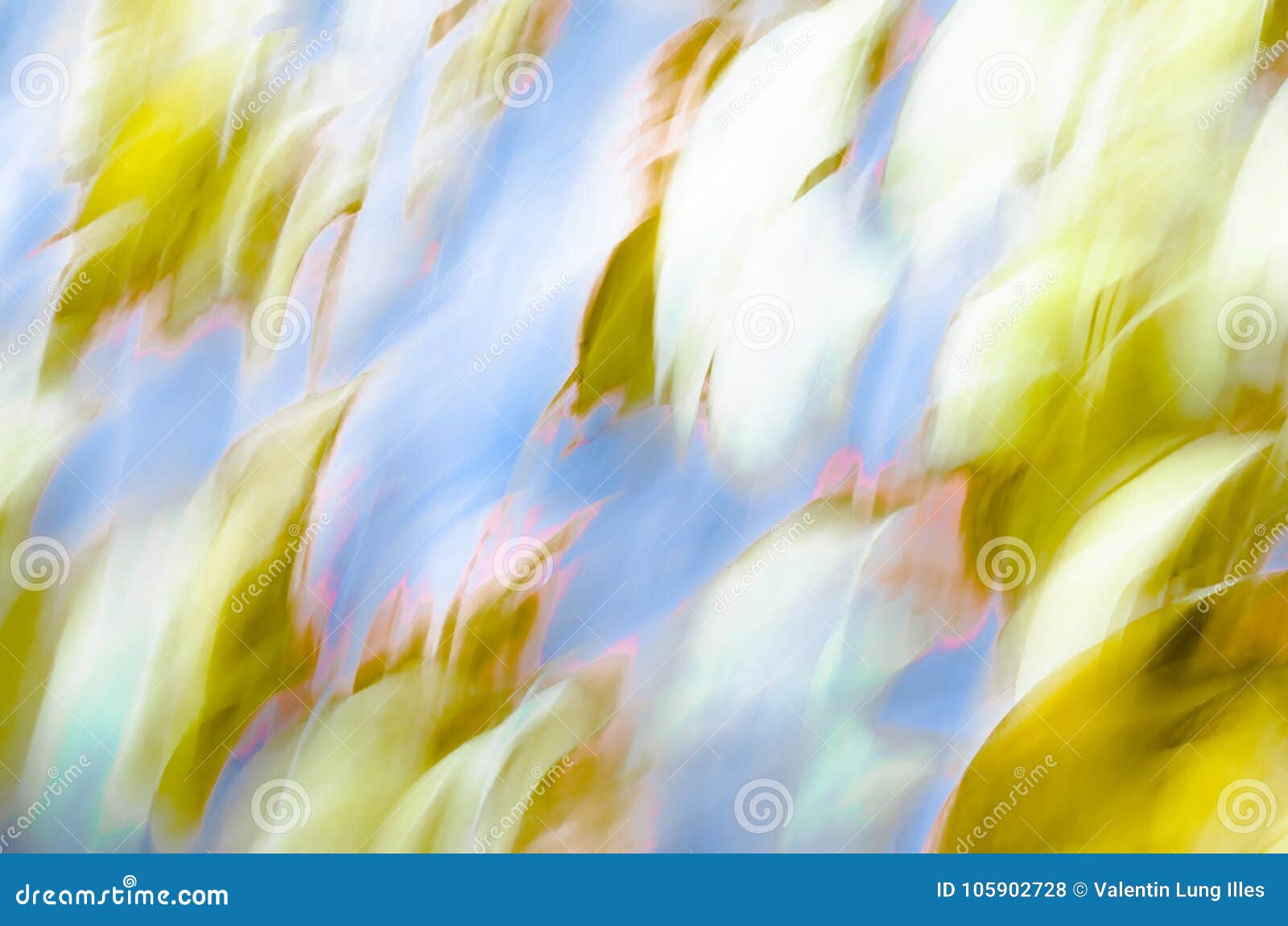 Clipart And Illustrations by Valentin Lung Illes (Valilung) | Megapixl