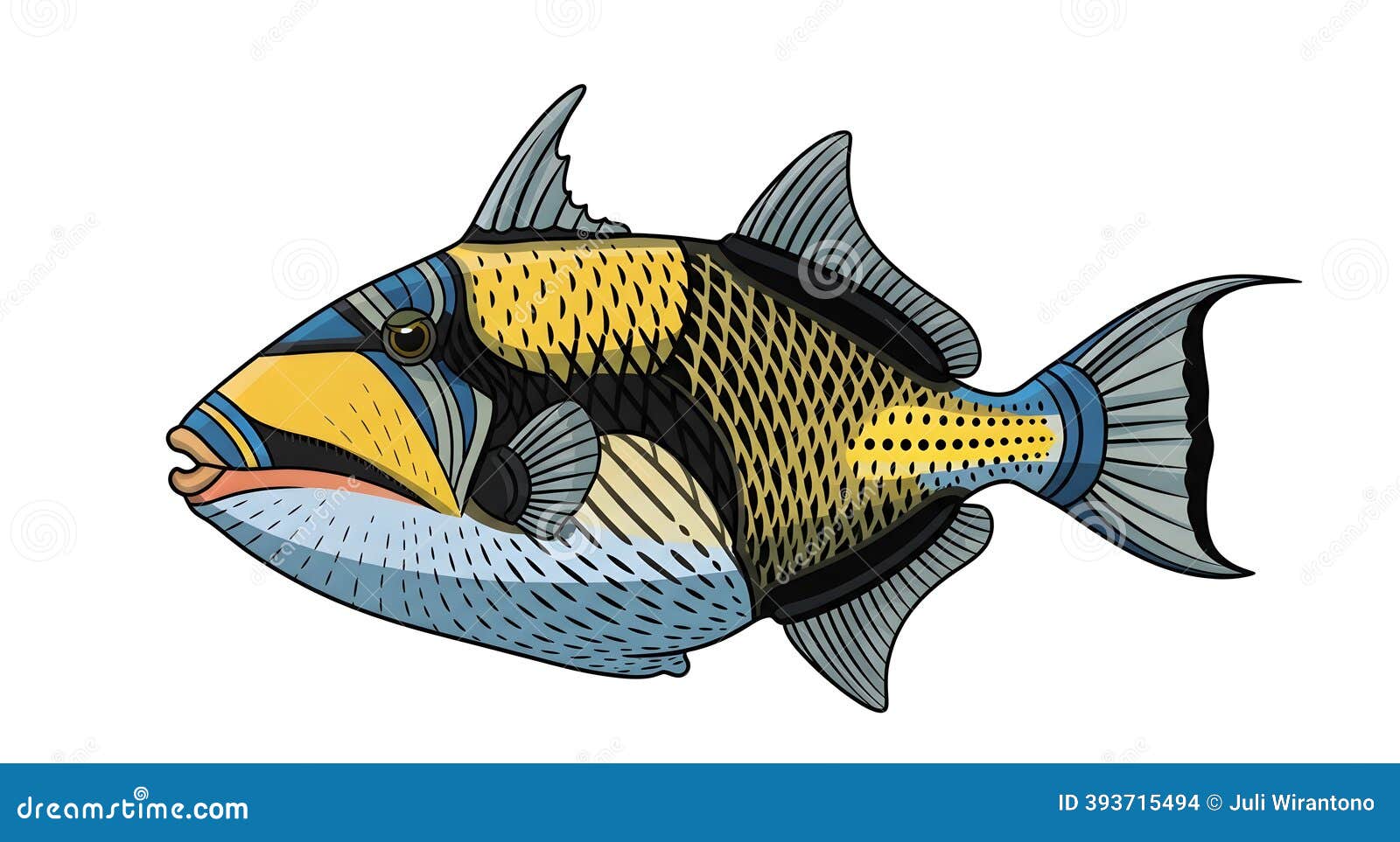 Grey Triggerfish, A Ray-finned Fish From The Atlantic Ocean In Side ...