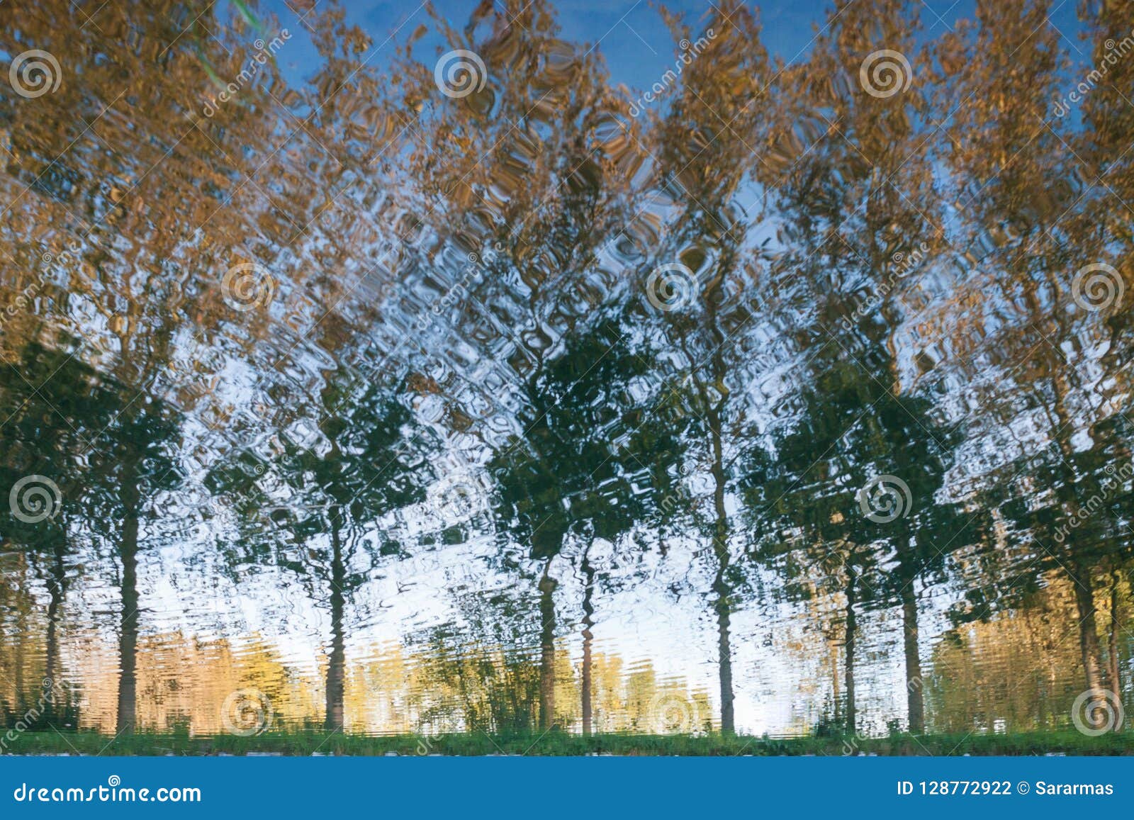 Abstract Fall Foliage Reflection. Stock Photo - Image of belgium, cool ...