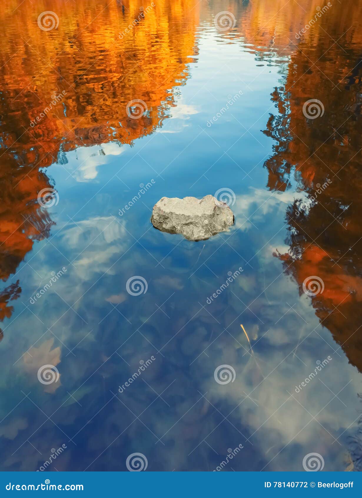 Colorful Abstract View of the Reflection of a Tree on the Ripples of ...