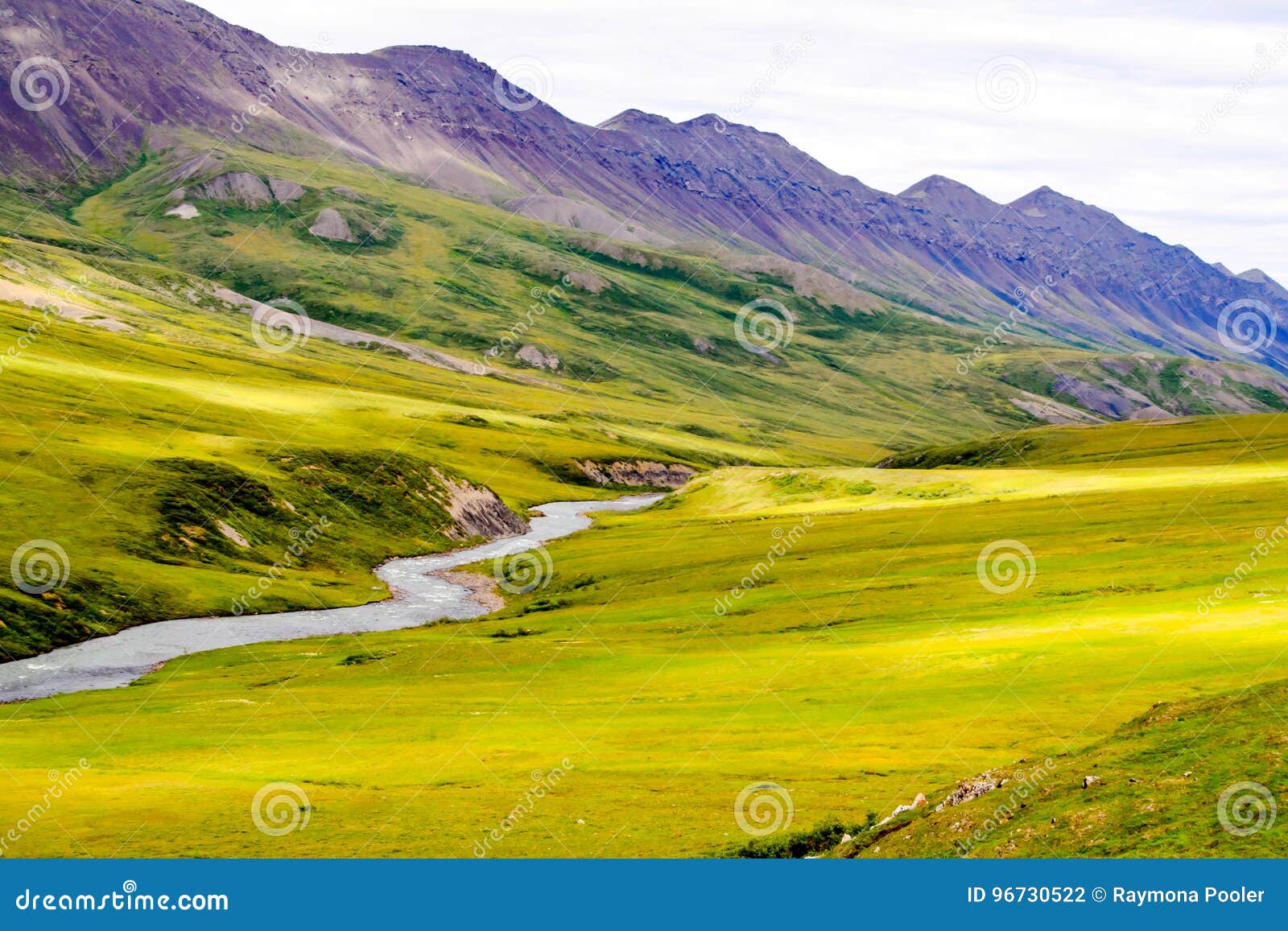 Colorful Alaskan Stream and Valley Stock Photo - Image of mountains ...