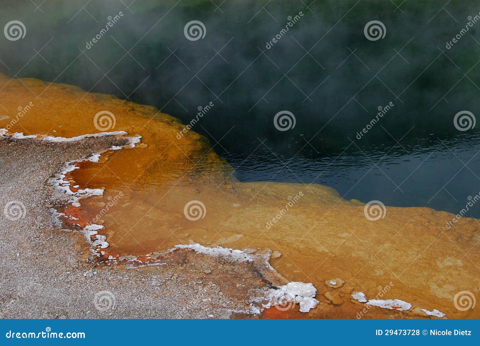 Colorful Algae Pond stock photo. Image of muck, waters - 29473728