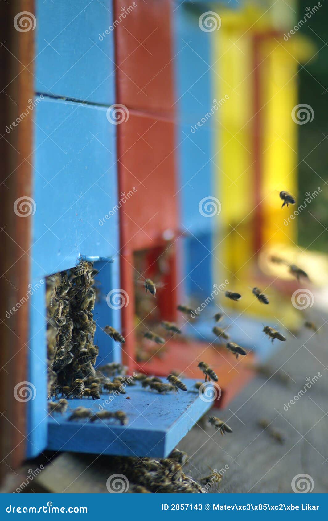 Colorful apiaries stock photo. Image of hardworking, painted - 2857140
