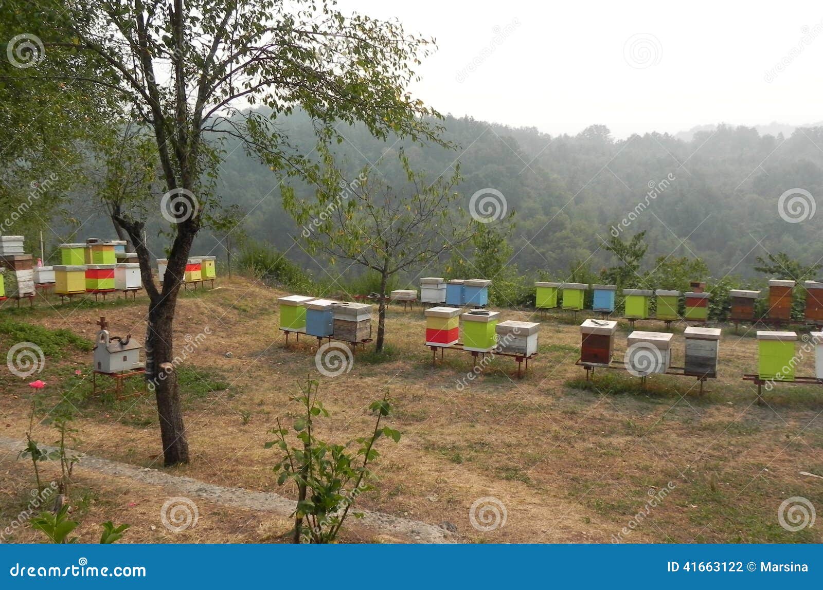 Colorful Apiary in the Mountains Stock Photo - Image of apiary, mead ...