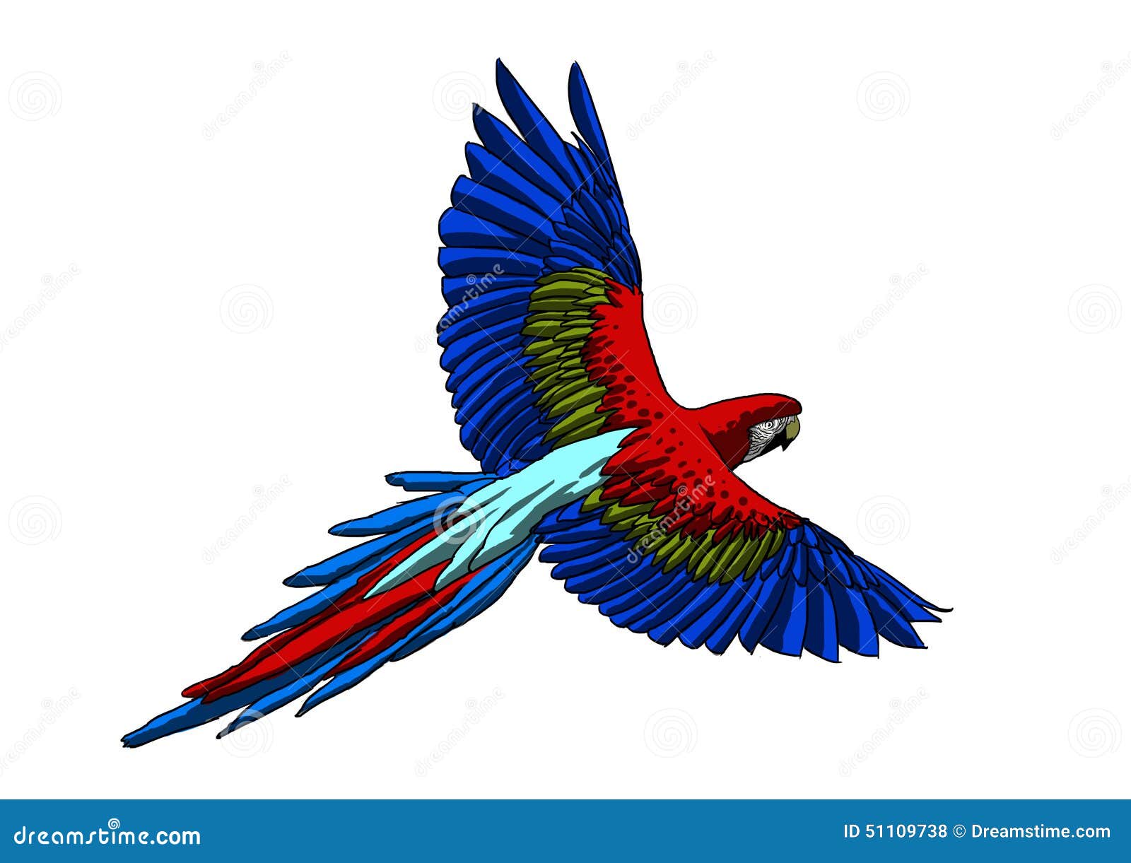 Colorful Arara Flying stock illustration. Illustration of bird - 51109738