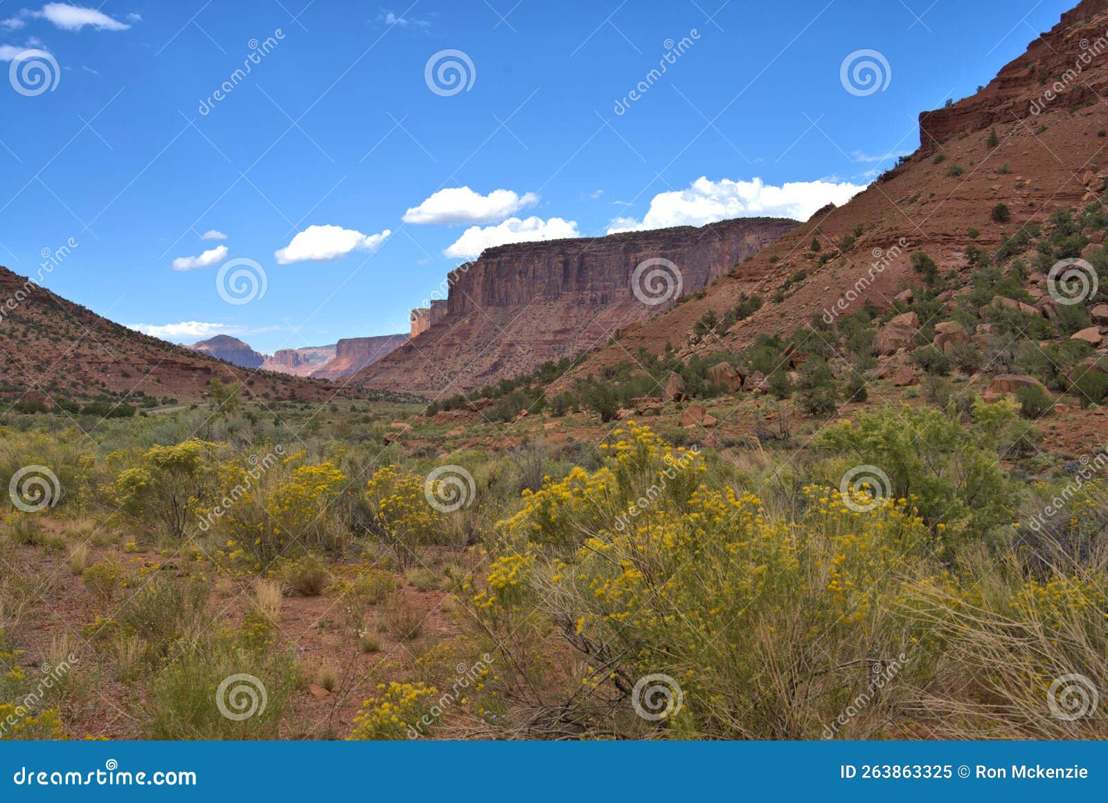 Colorful Arizona Landscape stock image. Image of desert - 263863325