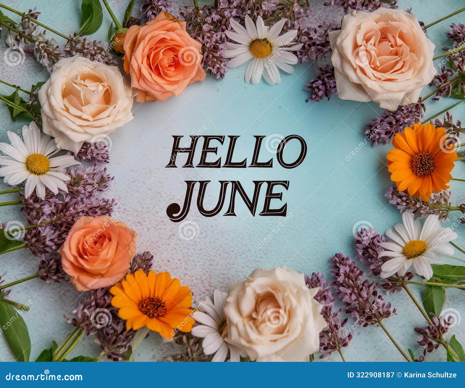 A Colorful Arrangement of Flowers with the Words "Hello June Stock ...