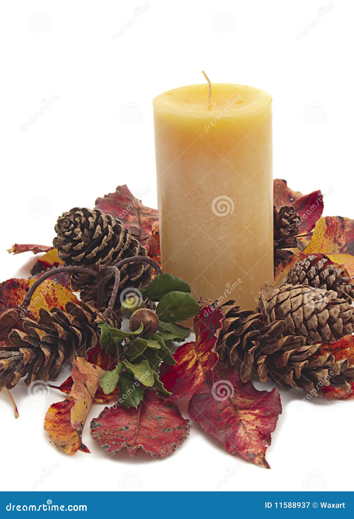 Colorful Arrangement of Pine Cones and Fall Leaves Stock Image - Image ...