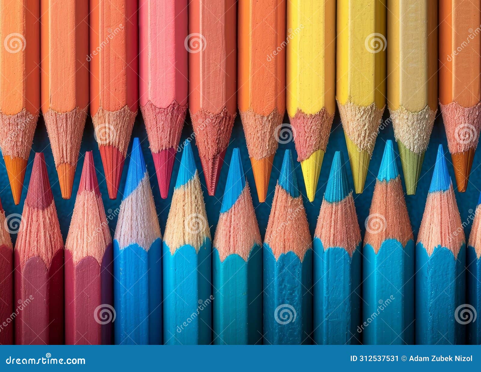 Colorful Array of Sharpened Pencils Lined Up Stock Illustration ...