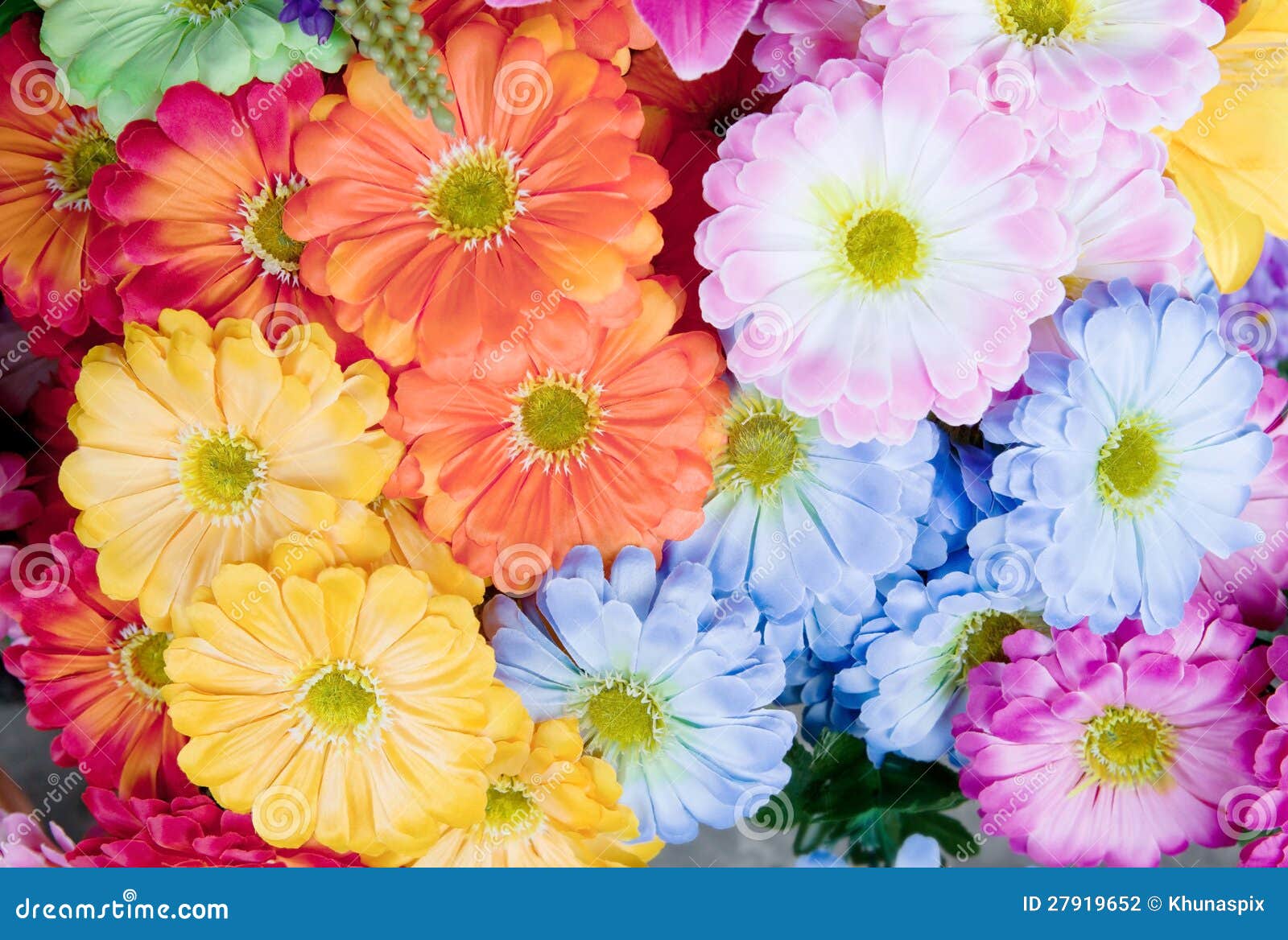 Colorful of Artificial Gerbera Flower Blooming Stock Photo - Image of ...