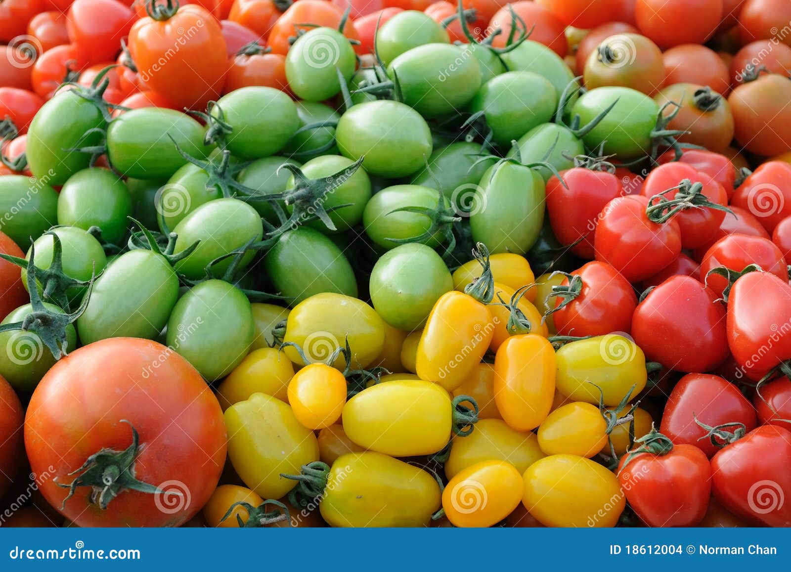 Colorful assorted tomatoes stock photo. Image of harvest - 18612004