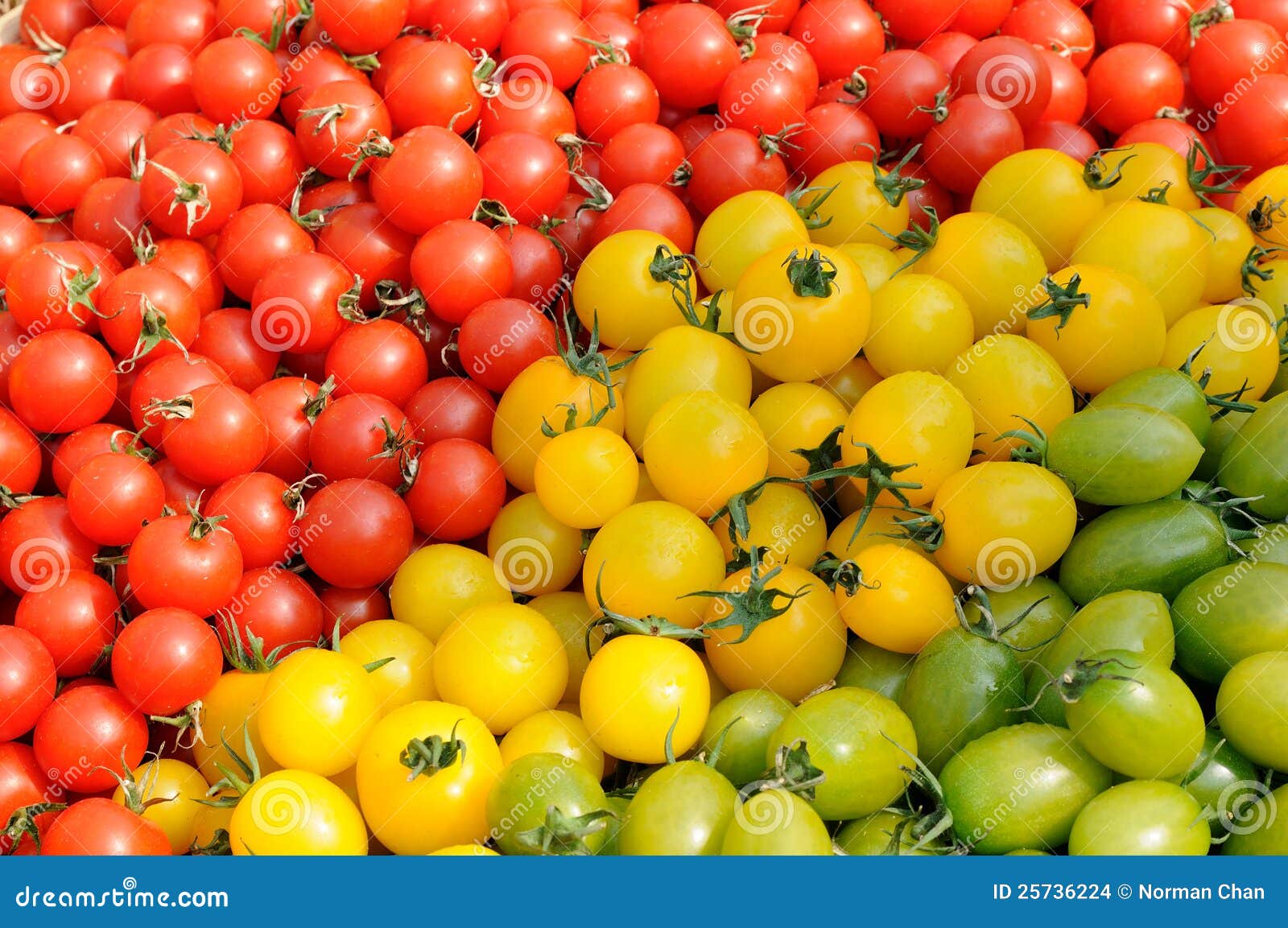 Colorful assorted tomatoes stock photo. Image of vegetarian - 25736224