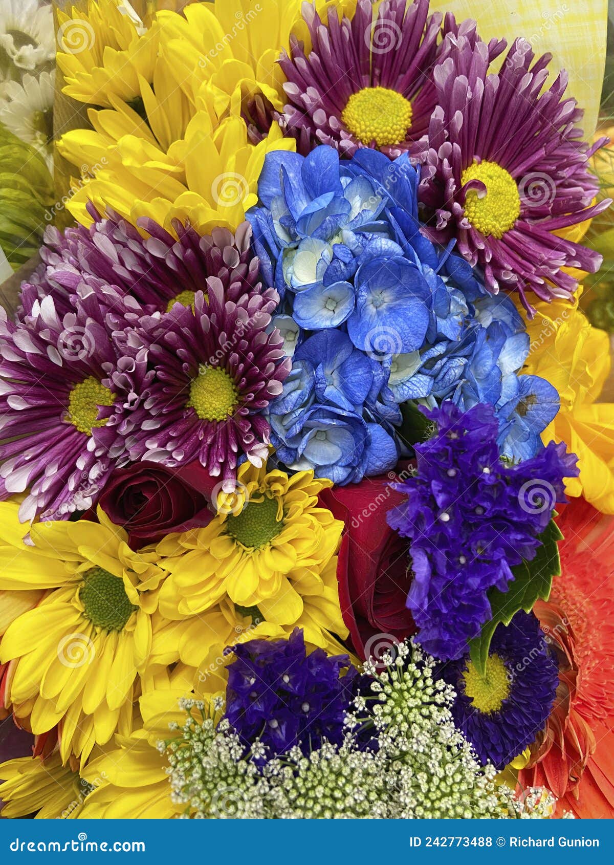 Colorful Assortment of Flowers Stock Photo - Image of purple, orange ...