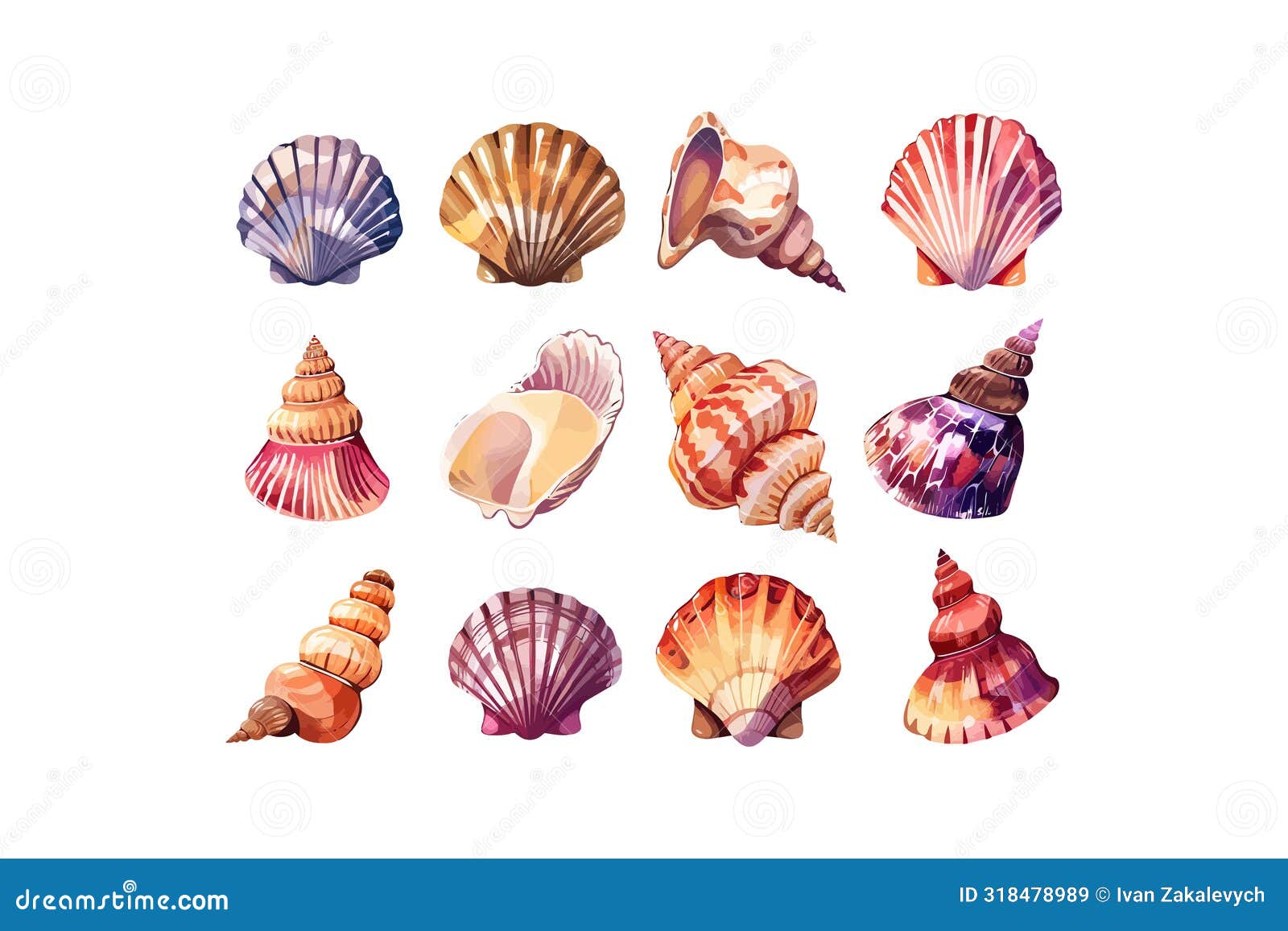Colorful Assortment of Illustrated Seashells. Vector Illustration ...