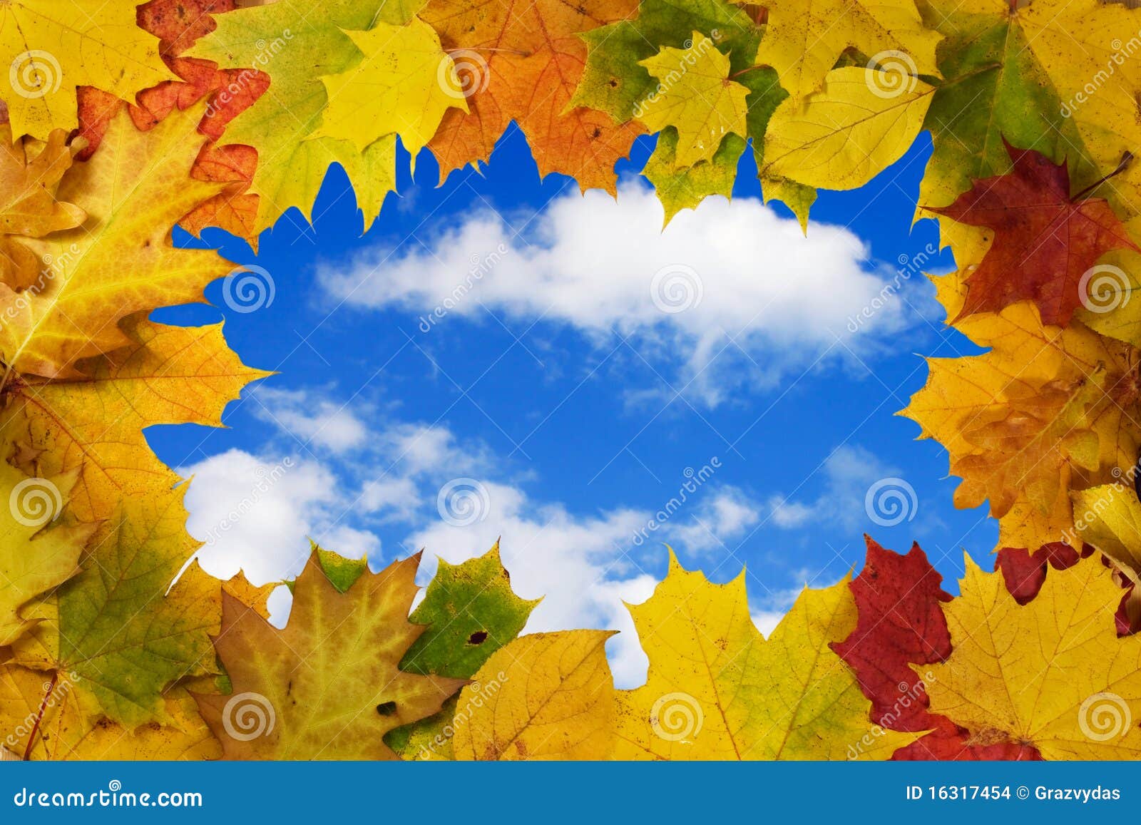 Colorful autumn background stock photo. Image of nature - 16317454