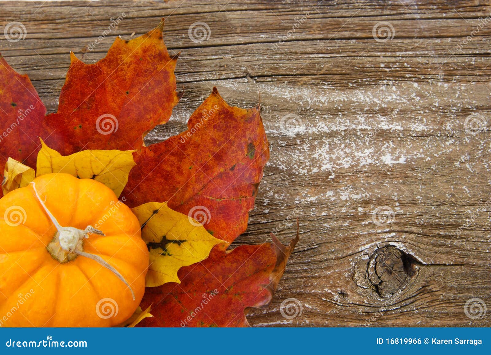 Colorful Autumn Background with Country Charm Stock Photo - Image of ...