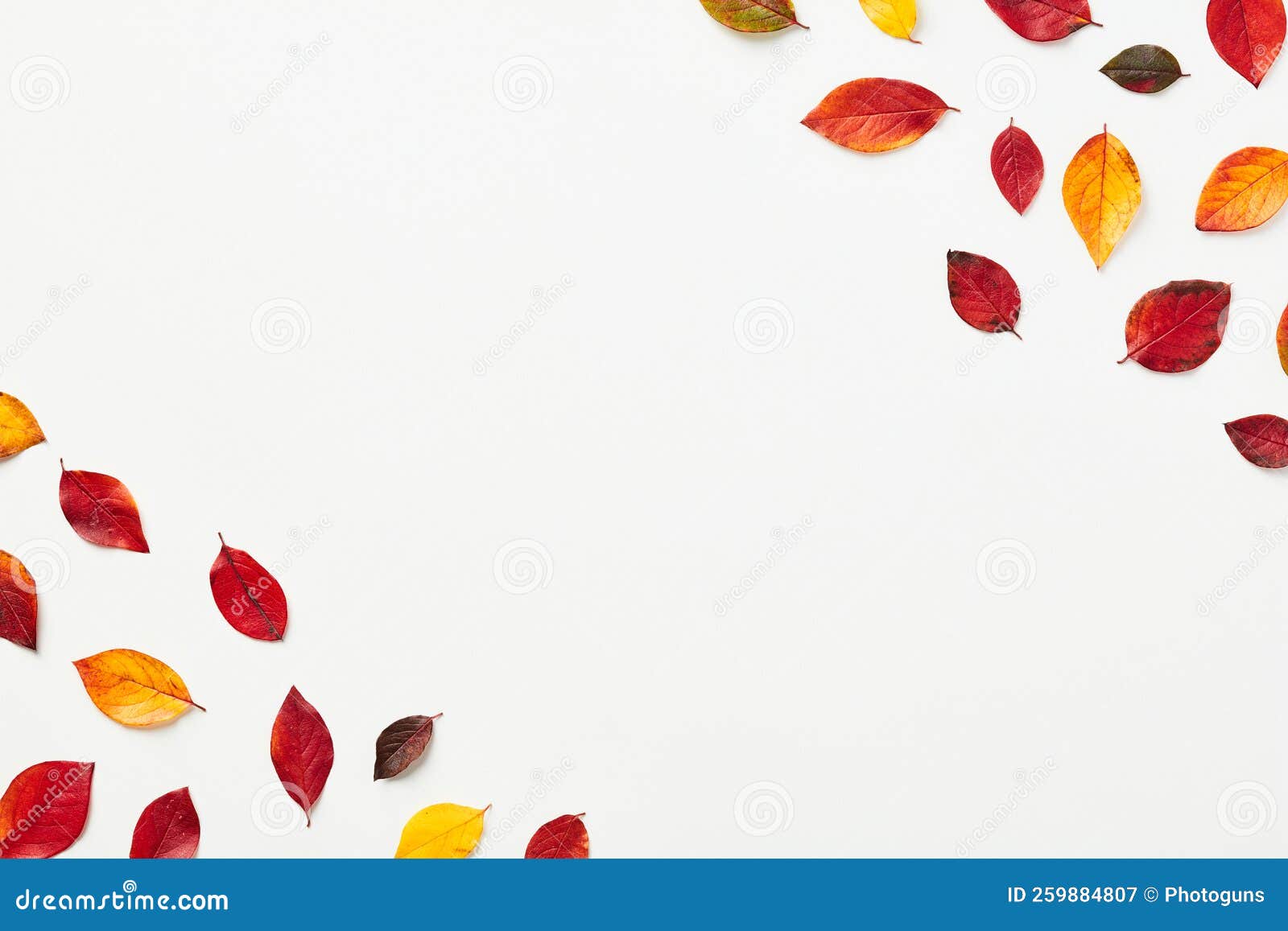 Colorful Autumn Fall Leaves Frame Corners Isolated on White Background ...