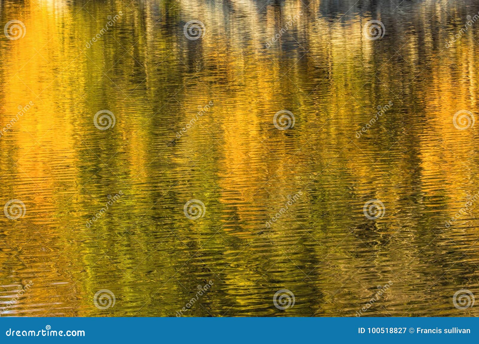 Colorful Autumn Foliage Reflection Stock Image - Image of leaves, hour ...