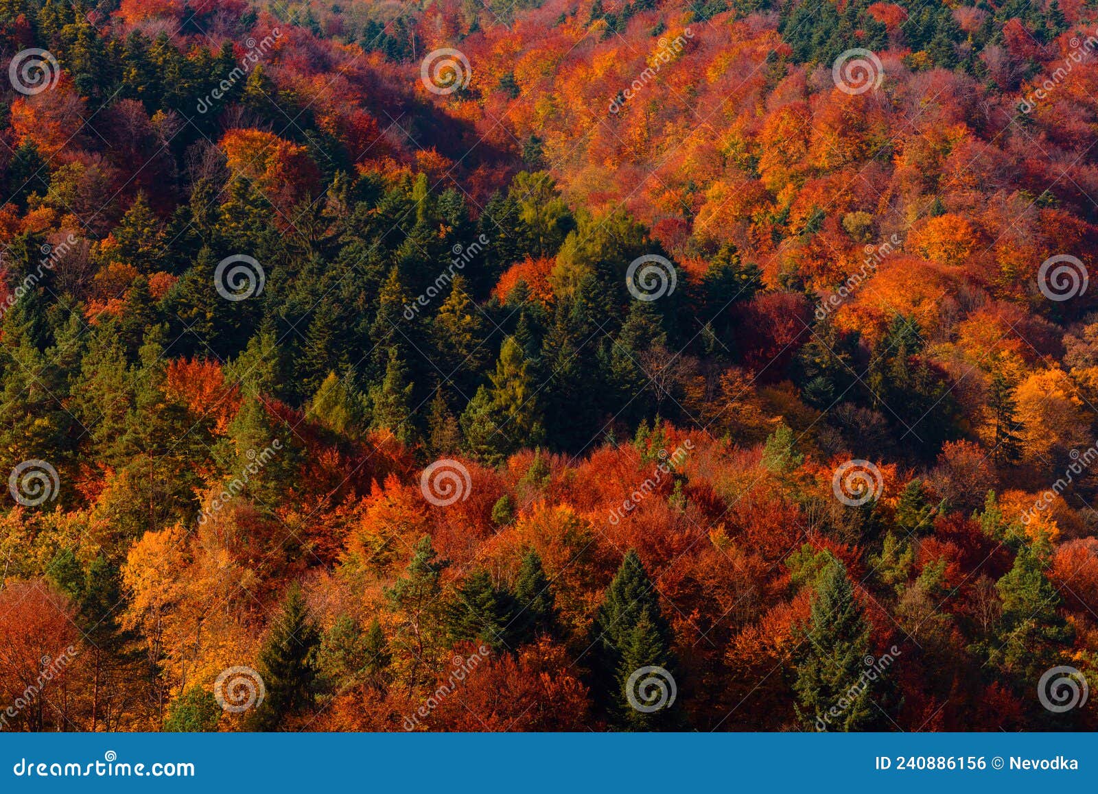 Colorful Autumn Forest on Hills Stock Photo - Image of landscape, park ...